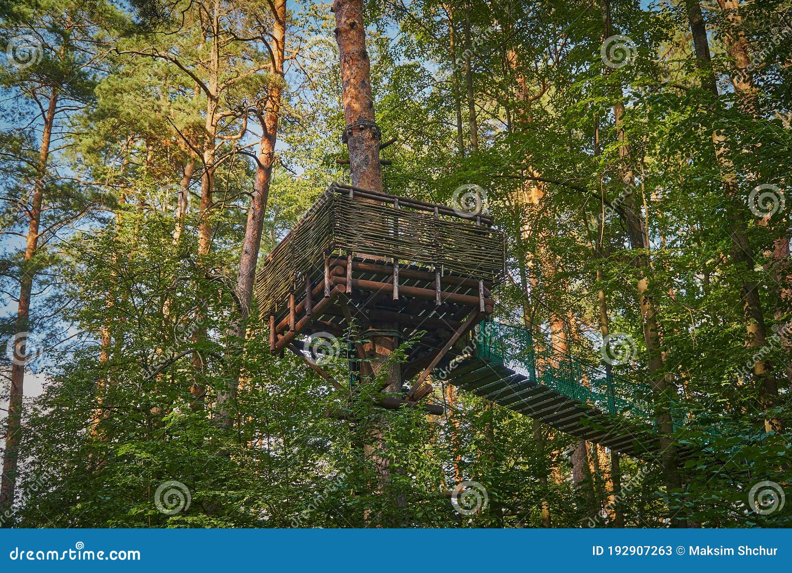 Hunting ambush on a tree stock image. Image of house - 192907263