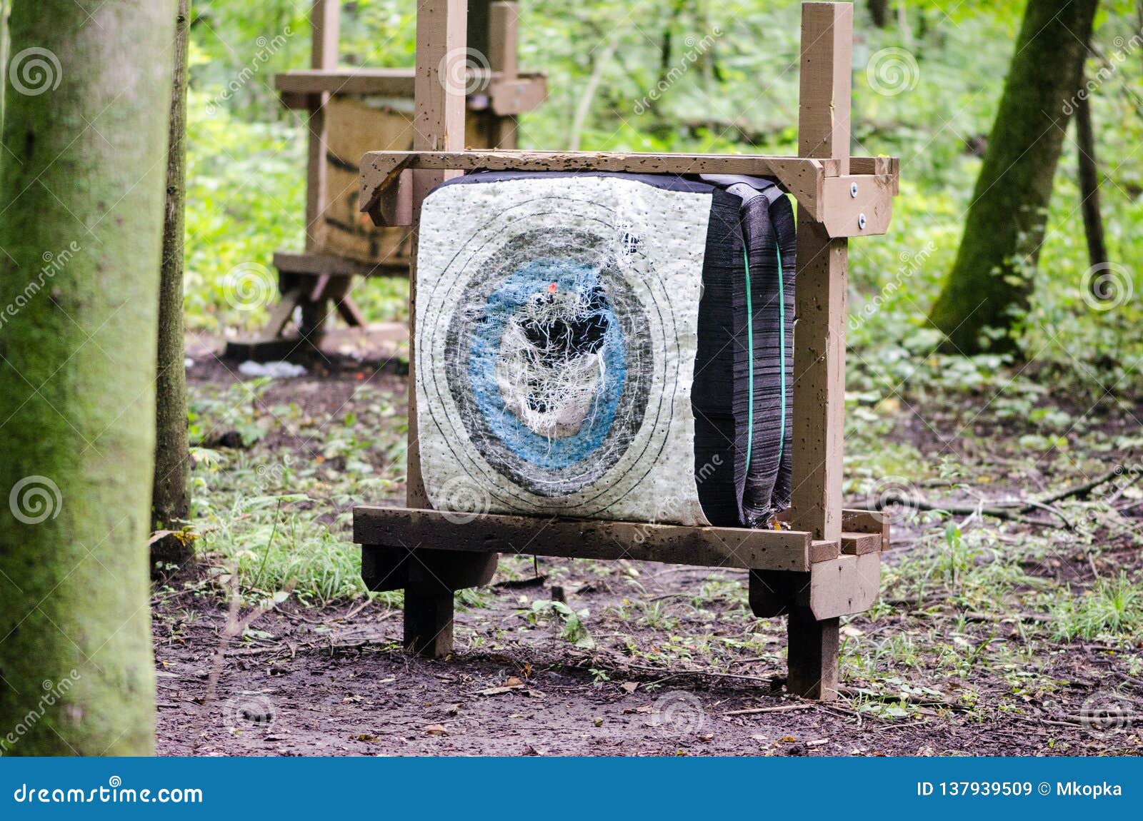 Hunting Archery Targets in a Forested Area Stock Image - Image of sport ...