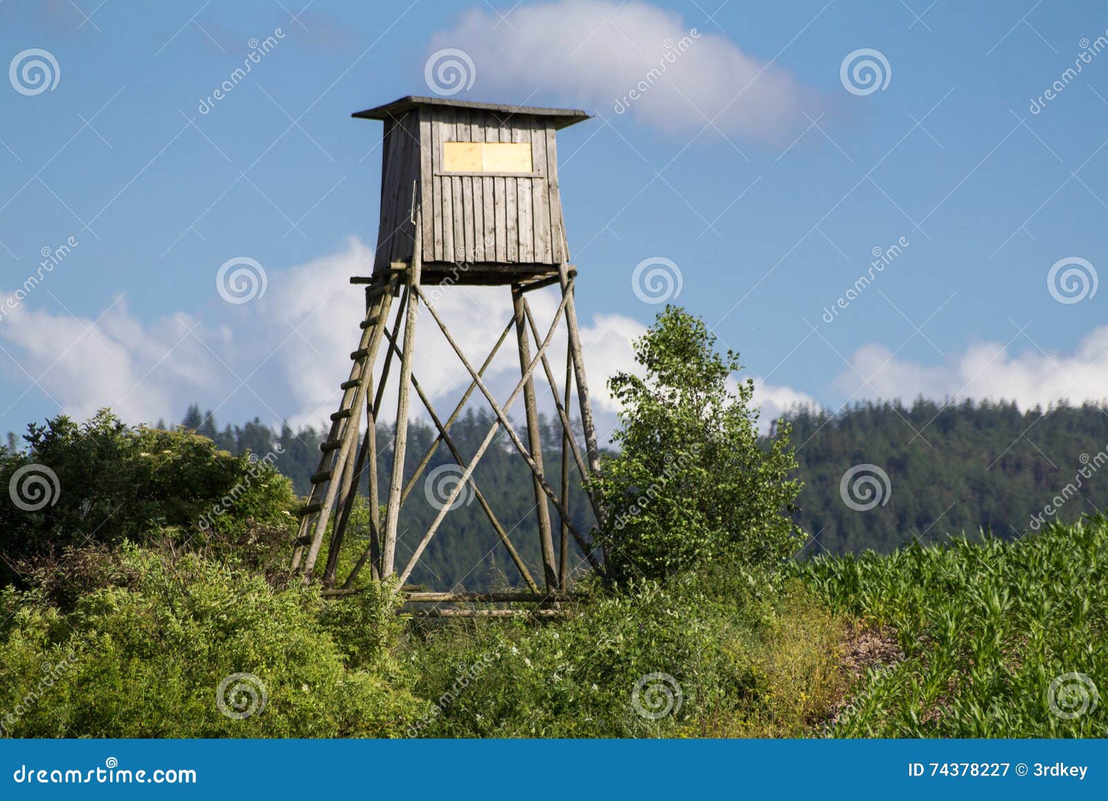 Hunting or Birdwatching Tower Stock Image - Image of protected, point ...