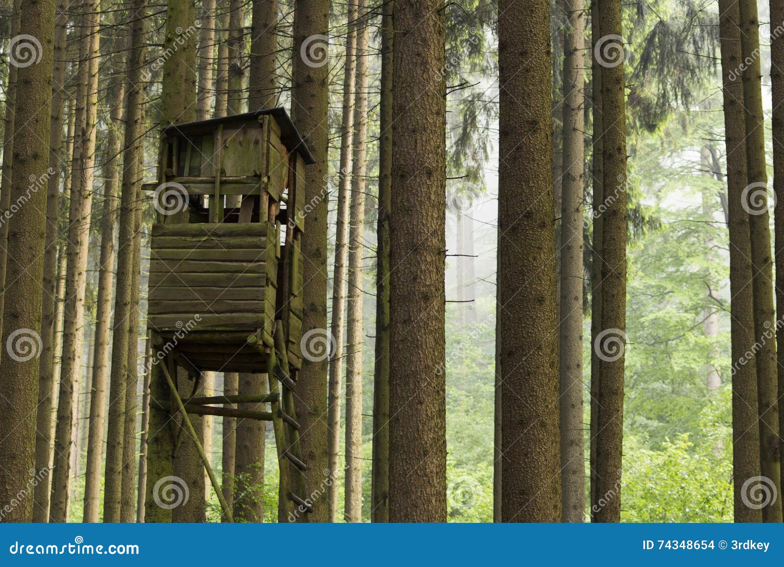 Hunting or Birdwatching Tower in the Woods Stock Photo - Image of ...