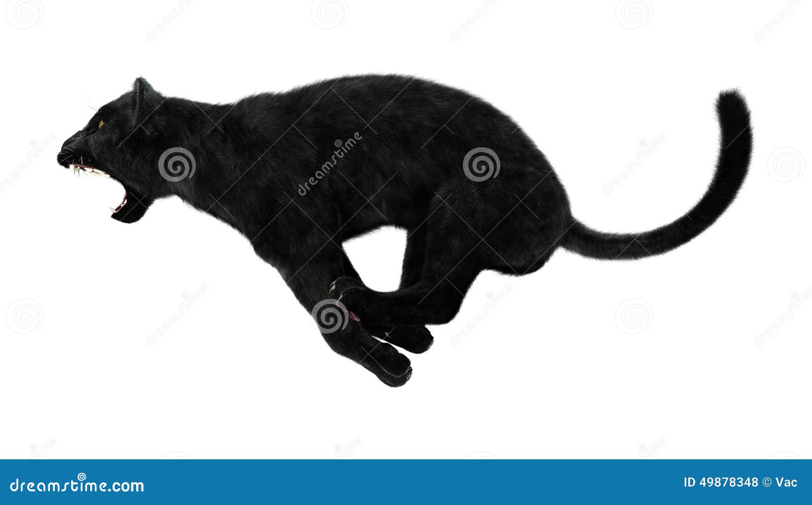 Black Panther Pouncing