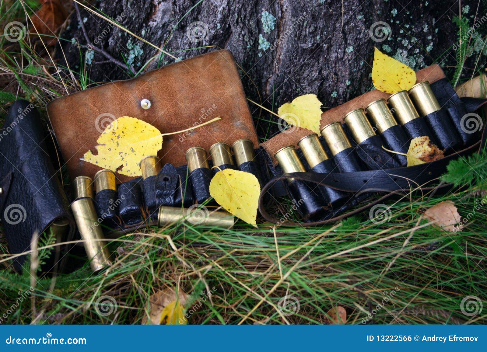 Hunting Cartridges Covered Leaf Stock Photo - Image of belt, equipment ...