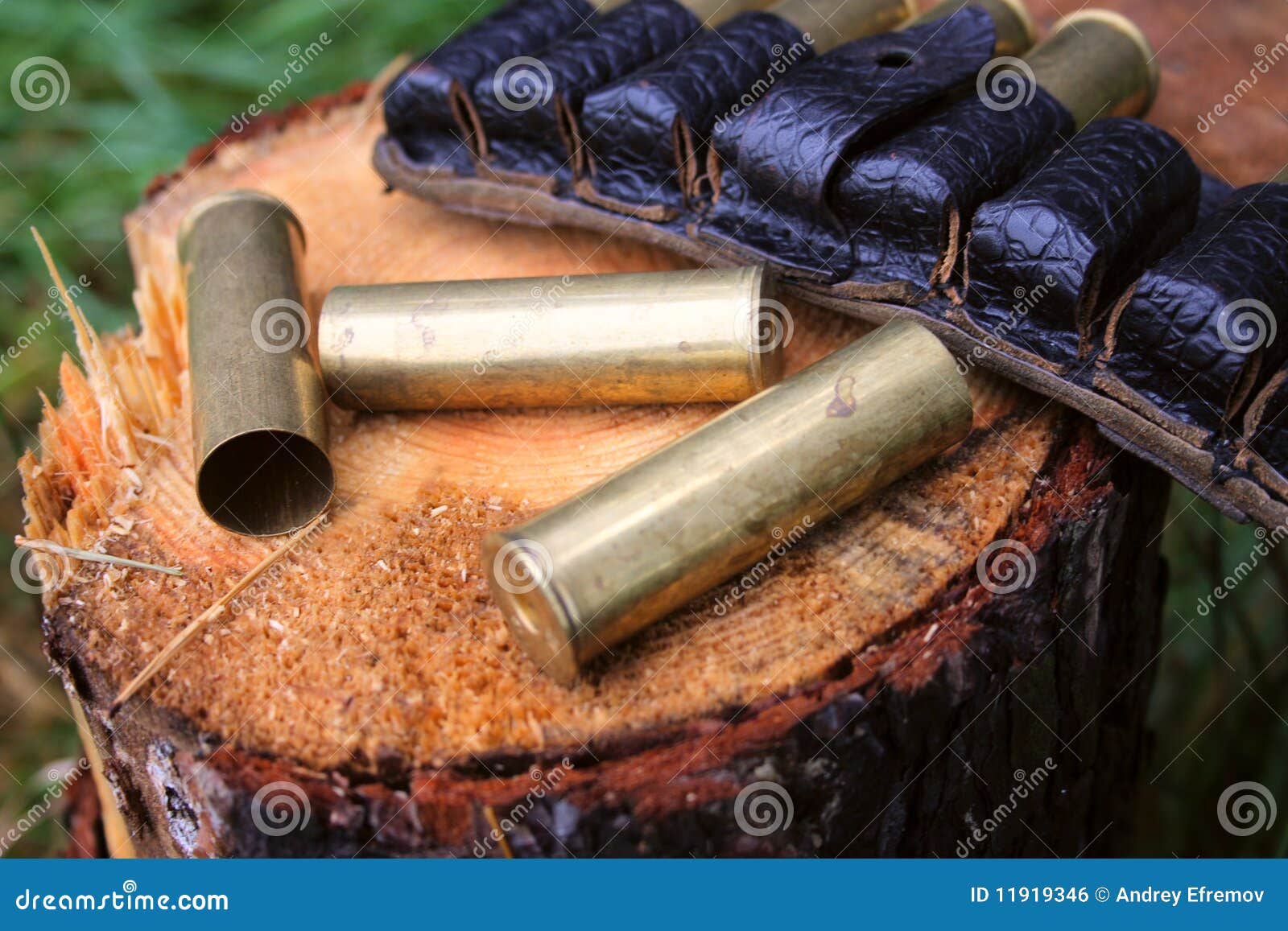 The Hunting Cartridges with on a Stub Stock Photo - Image of plant ...