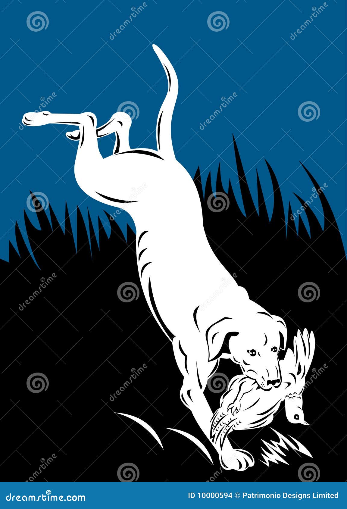 Pheasant Cartoons, Illustrations & Vector Stock Images - 7462 Pictures ...