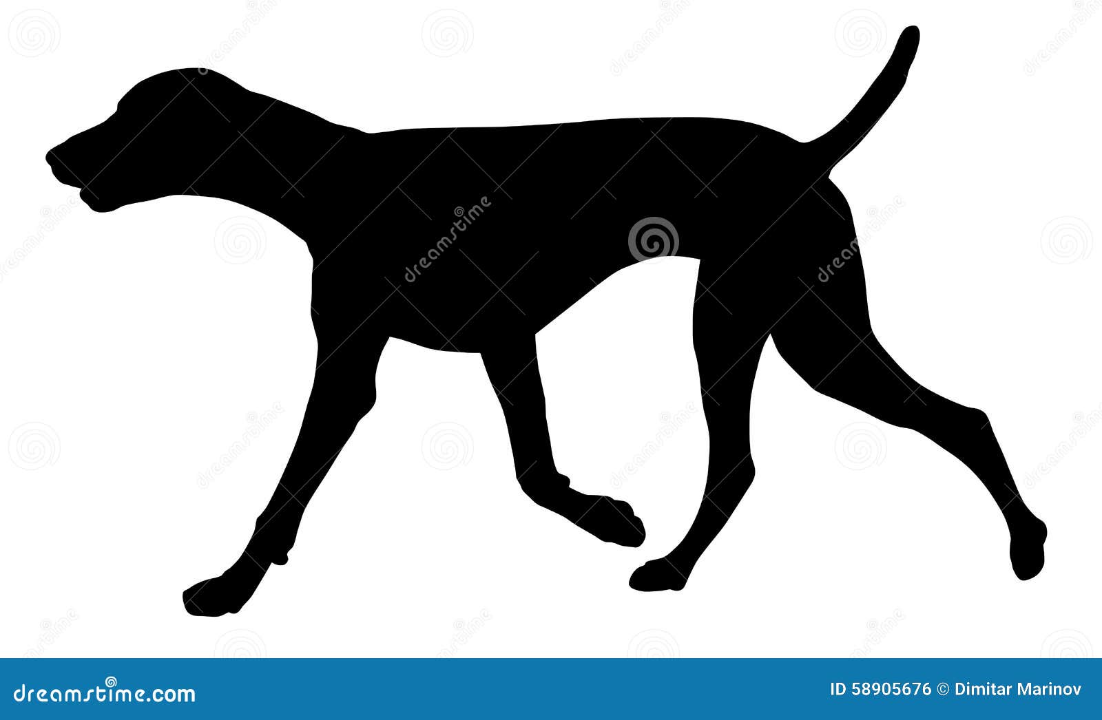 Hunting dog stock vector. Illustration of pointer, graphic - 58905676
