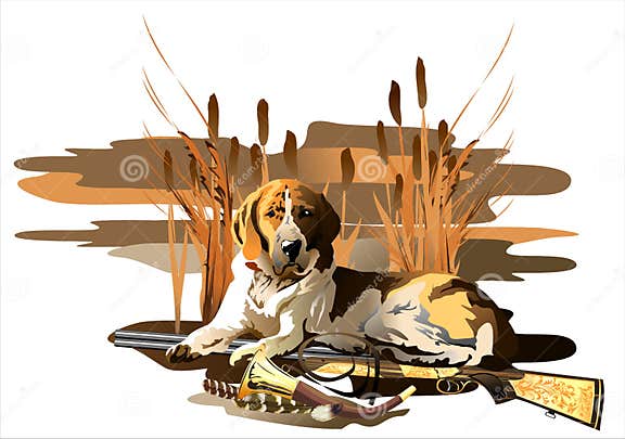 Hunting dog. (Vector) stock illustration. Illustration of labrador ...