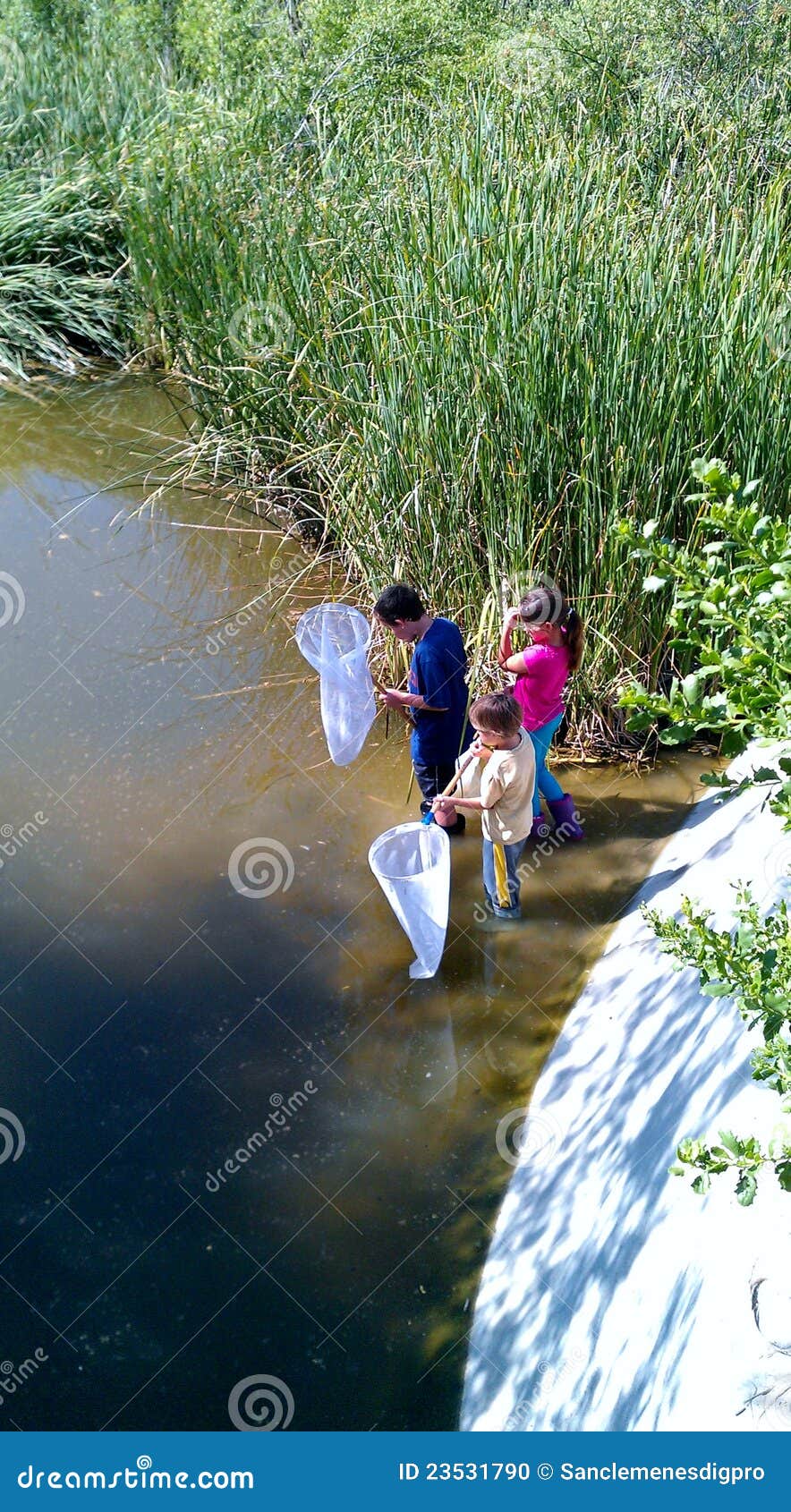 Hunting for fish stock photo. Image of fishing, child - 23531790