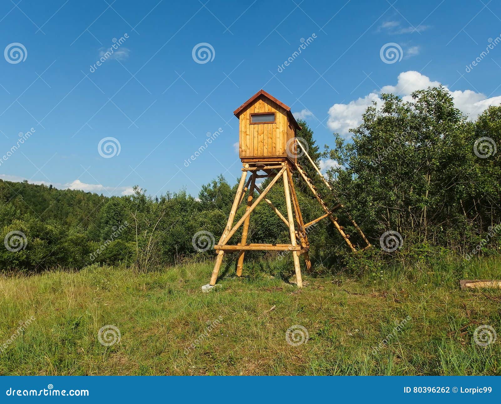 Forest Lookout Tower Stock Photography | CartoonDealer.com #227443244