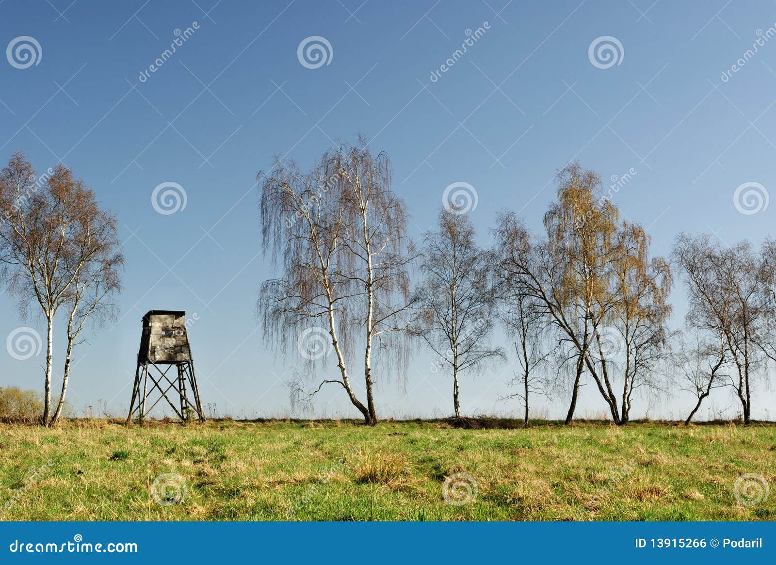 4,784 Trees Hide Photos - Free & Royalty-Free Stock Photos from Dreamstime