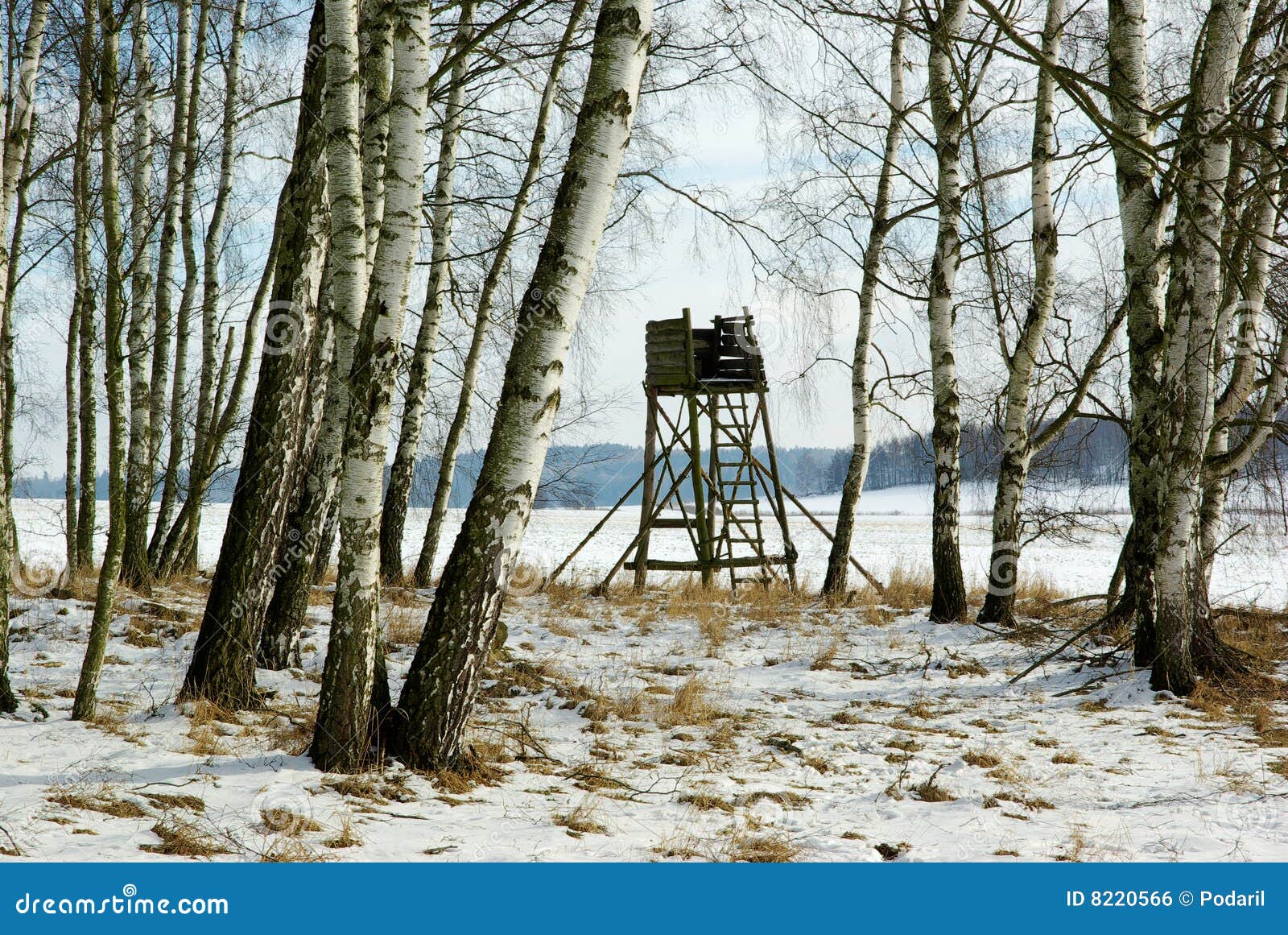 Hunting hide stock photo. Image of bark, czech, forest - 8220566