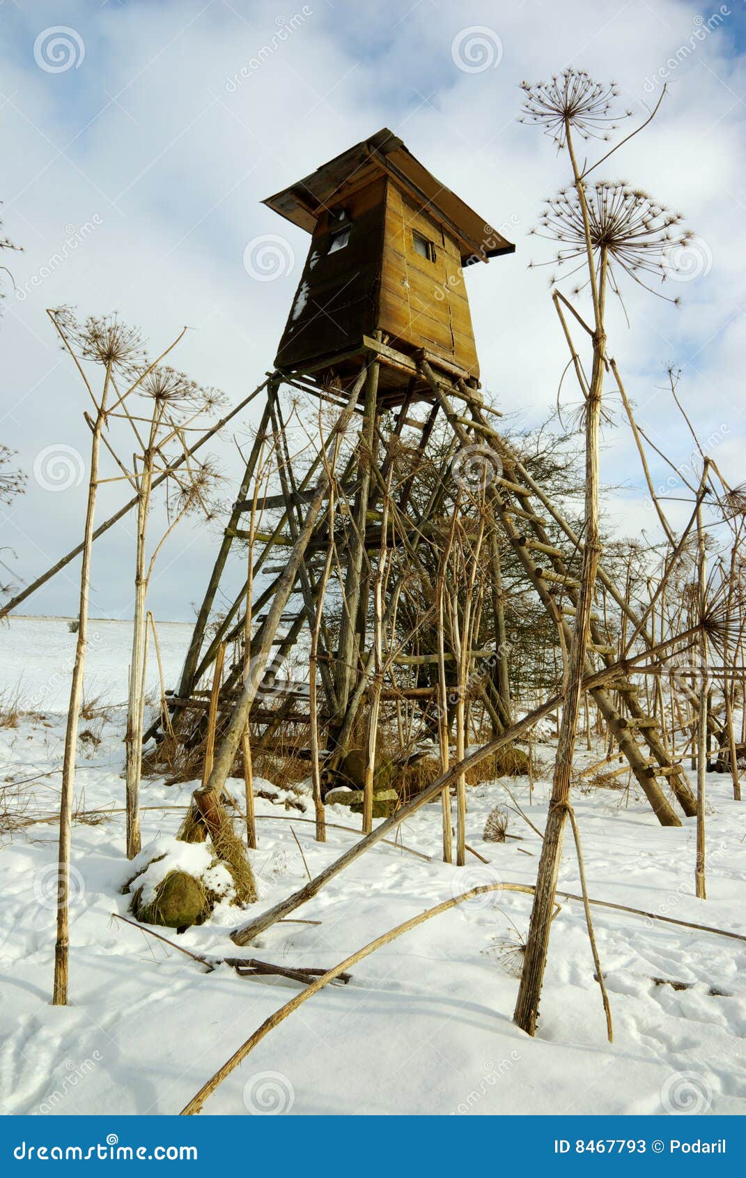 Hunting hide stock image. Image of forestry, seclusion - 8467793