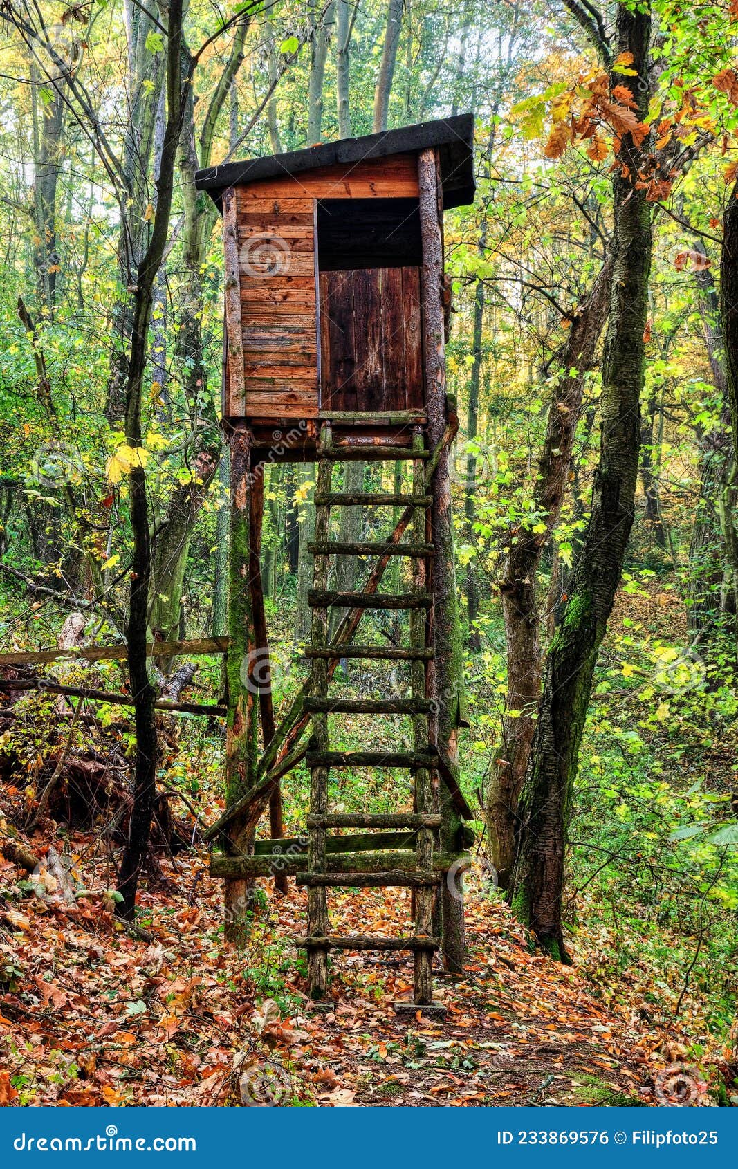 Hunting hide stock photo. Image of landscape, tree, natural - 233869576