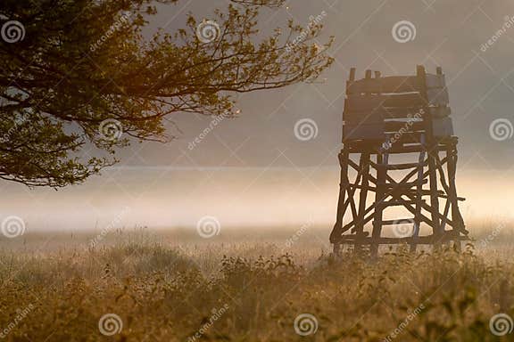 Hunting hide stock image. Image of alley, background - 35546323