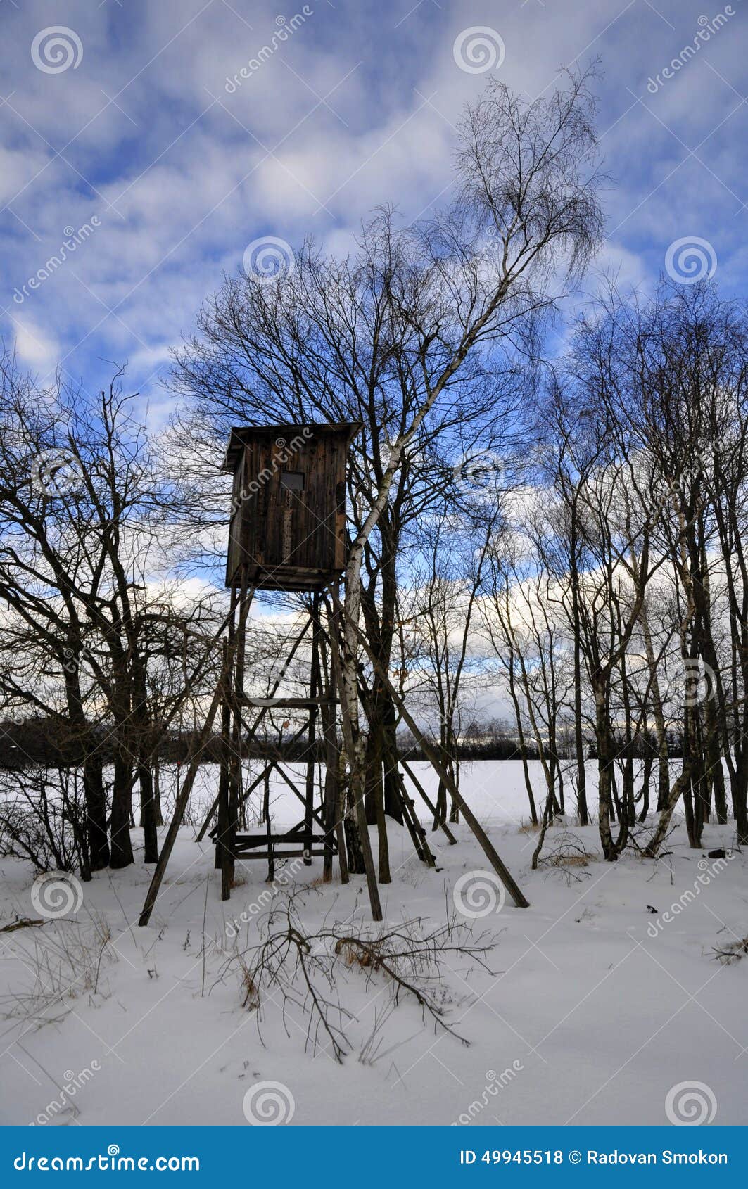 Hunting hide stock photo. Image of rural, mood, czech - 49945518