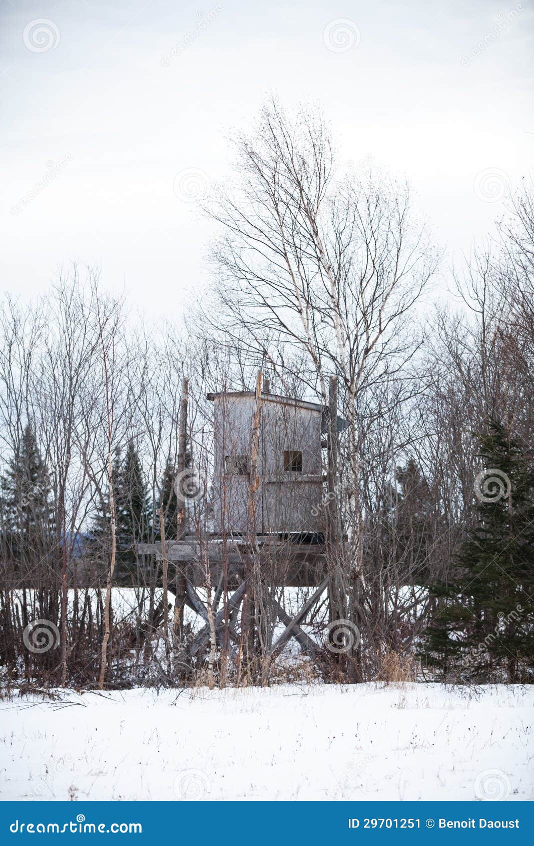 Hunting Hideout stock image. Image of nature, field, outdoor - 29701251
