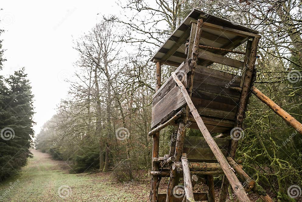 Hunting High Seat in a Fall Forest Stock Photo - Image of construction ...