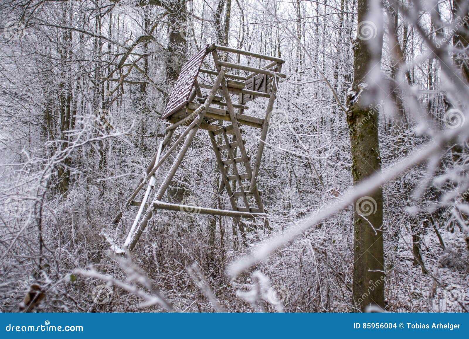 Hunting High Seat in Winter Forest Stock Photo - Image of wildlife ...