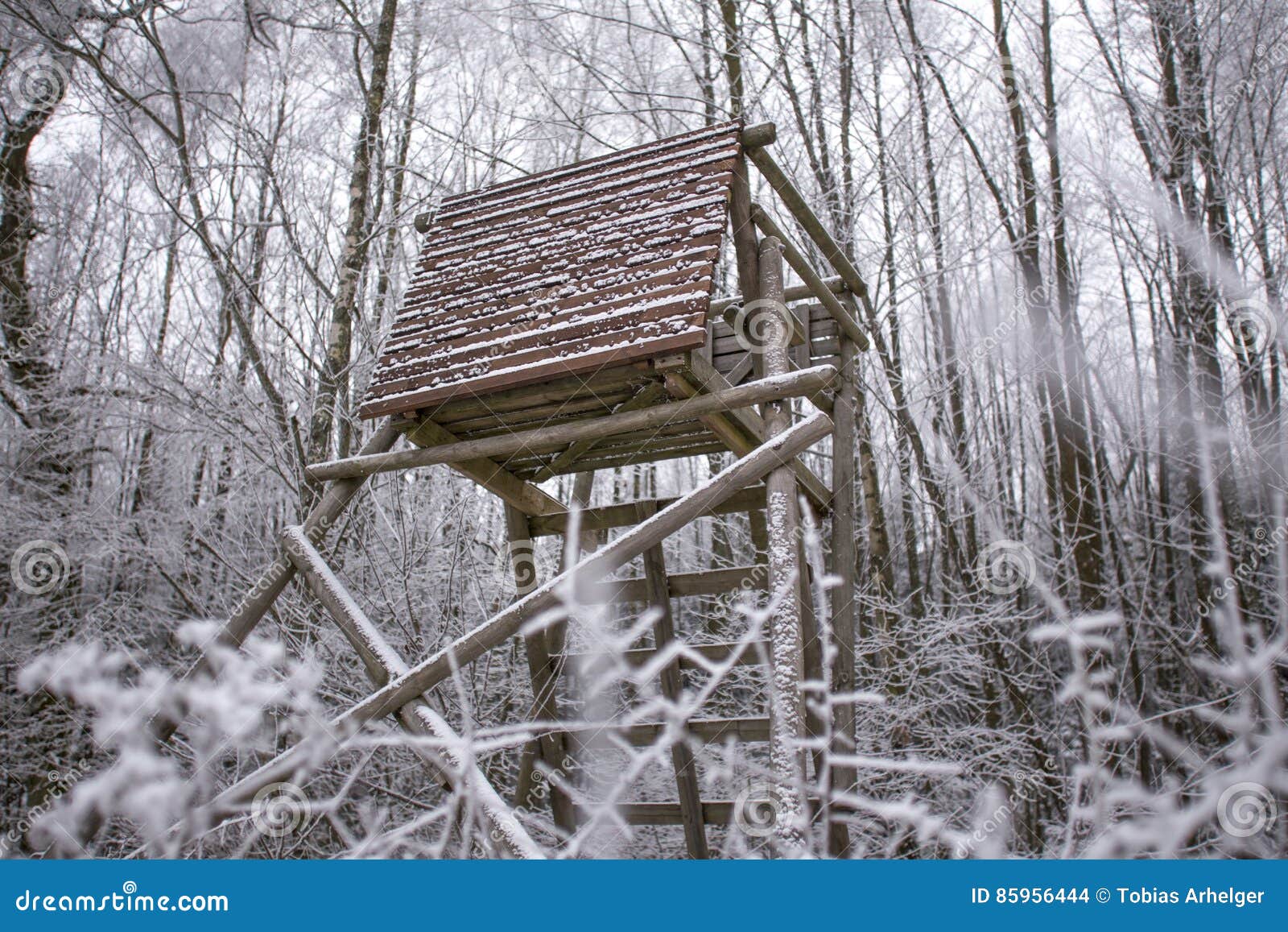 Hunting High Seat in Winter Forest Stock Photo - Image of winter, tree ...
