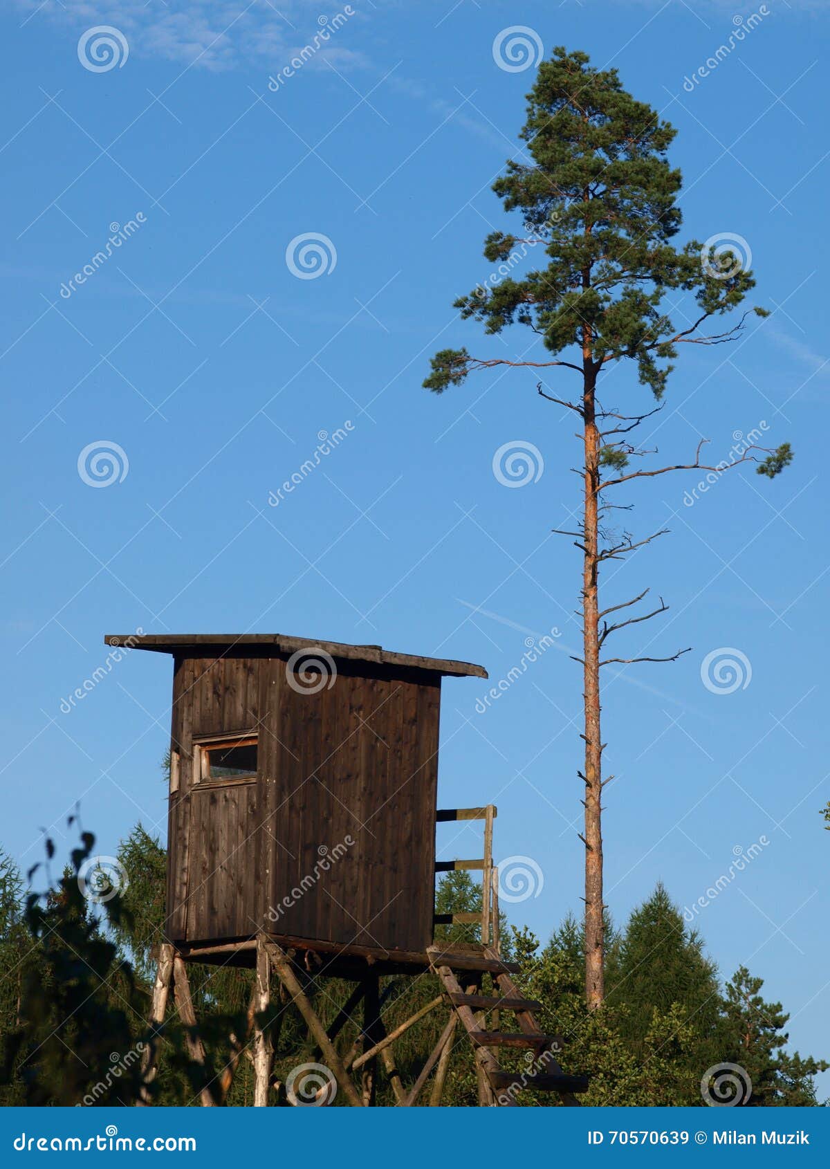 Hunting High Seat stock image. Image of building, forest - 70570639
