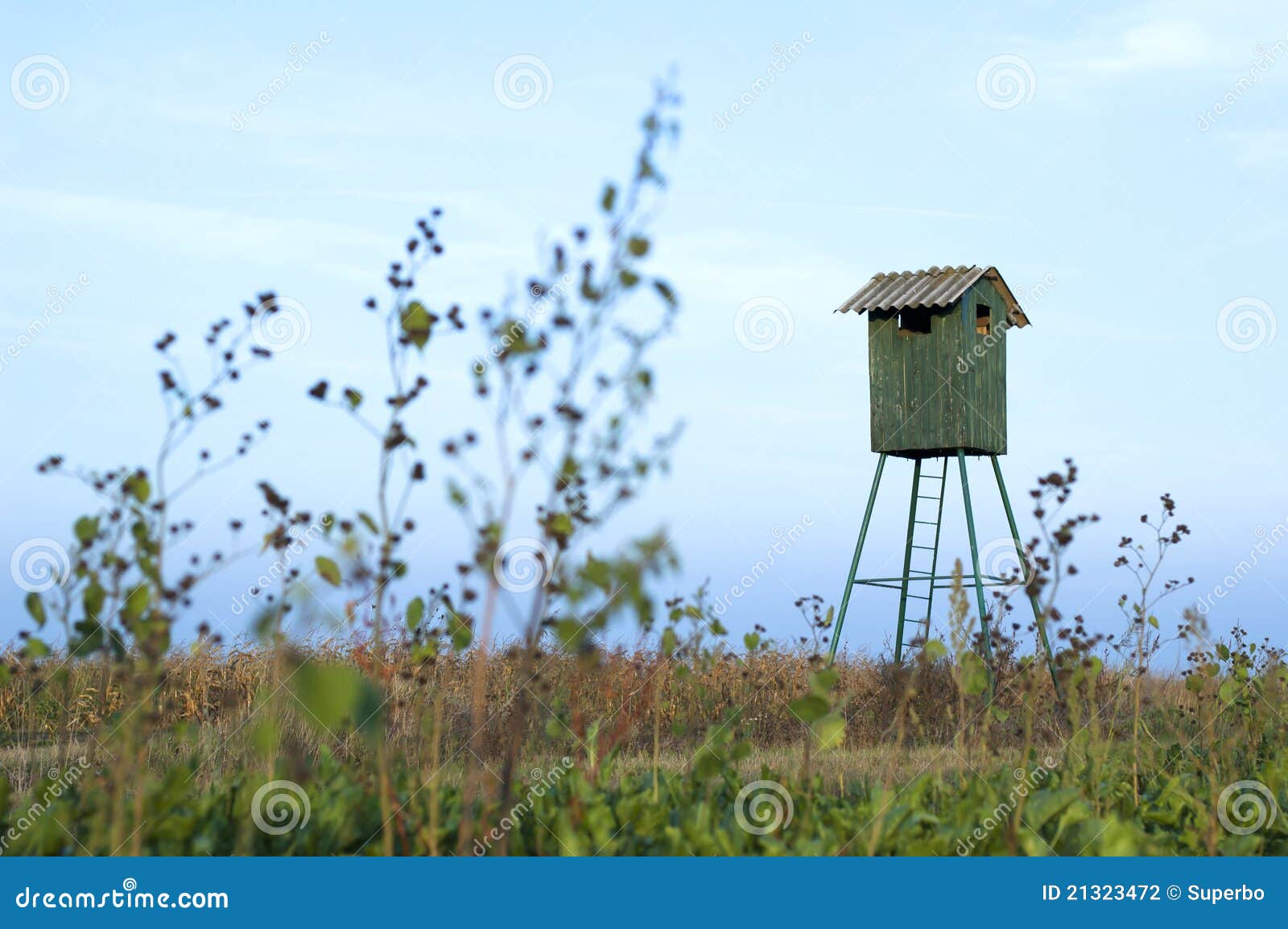 Hunting hut stock photo. Image of solitude, forest, tree - 21323472
