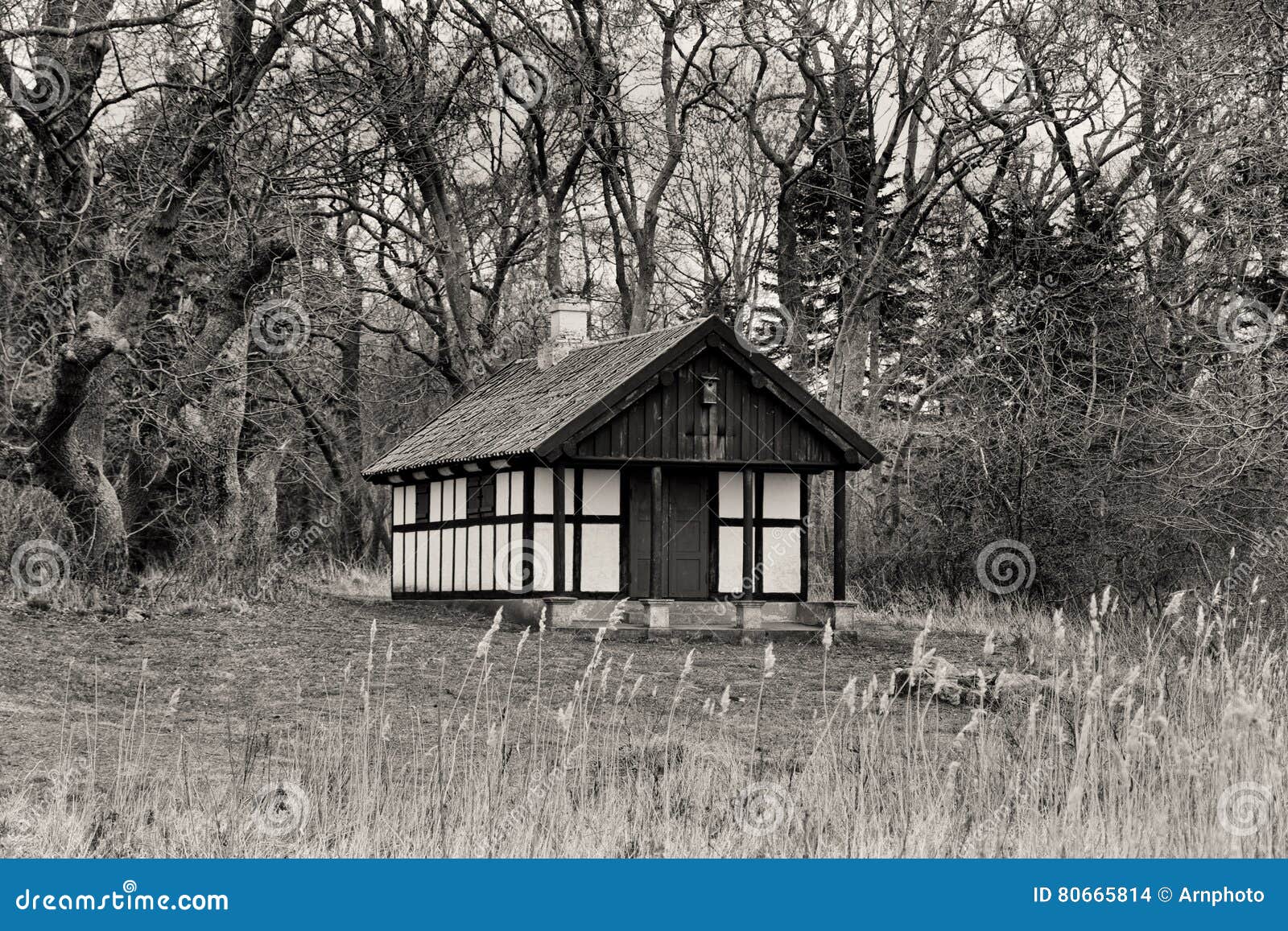 Hunting Hut in the Forest stock photo. Image of architecture - 80665814