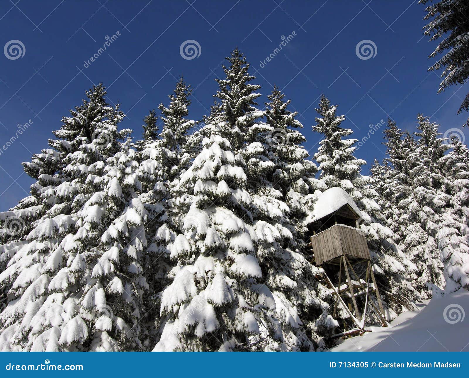 Hunting Hut in Winter Forest Stock Image - Image of outdoor, light: 7134305