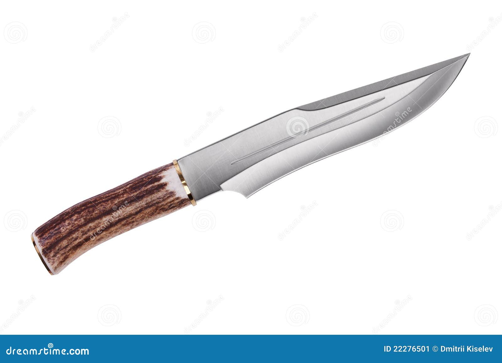 Hunting Knife with a Bone Handle Stock Image - Image of handjar ...