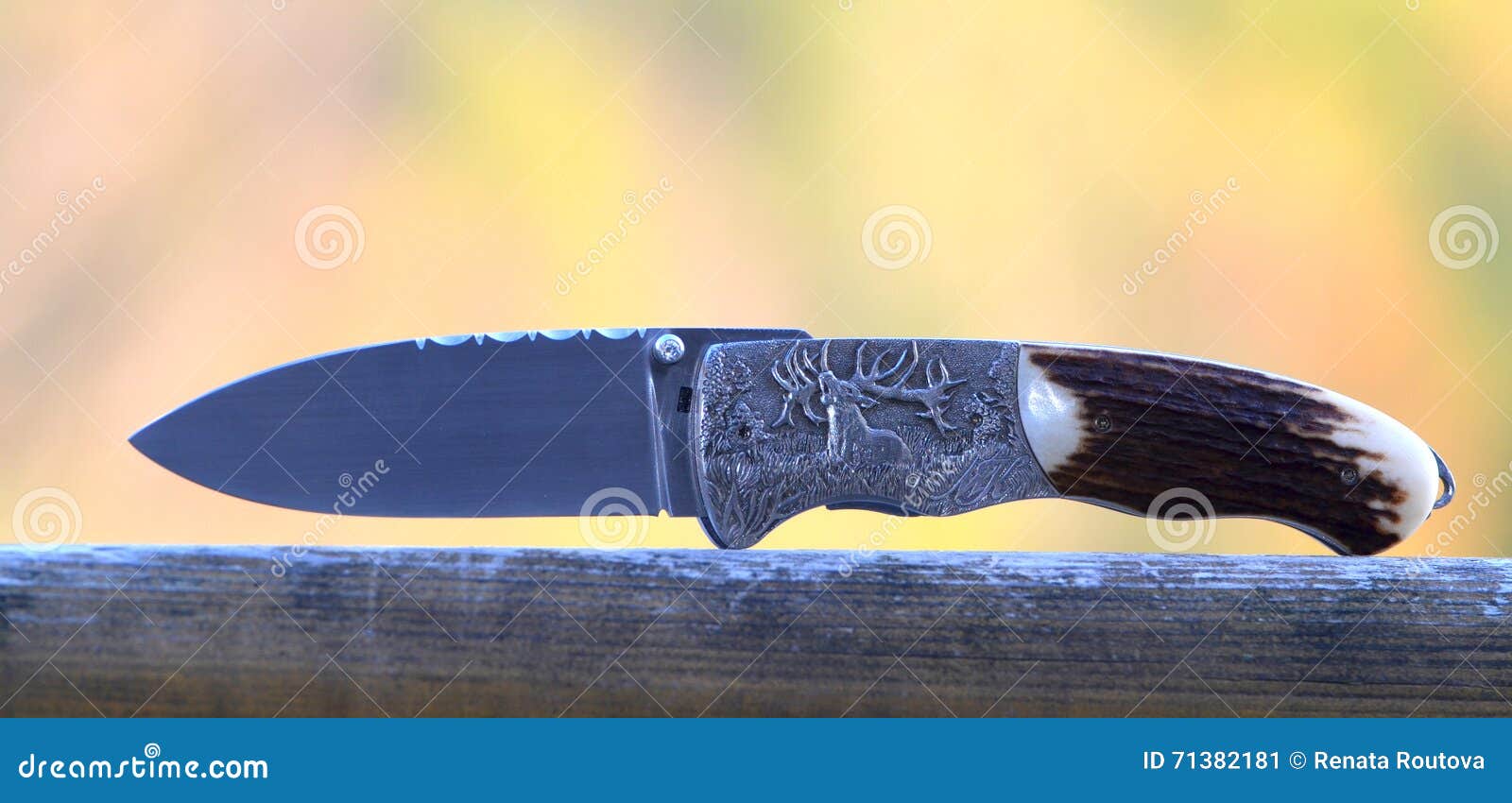 Hunting Knife with Deer Engraving Stock Image - Image of hunting, edge ...
