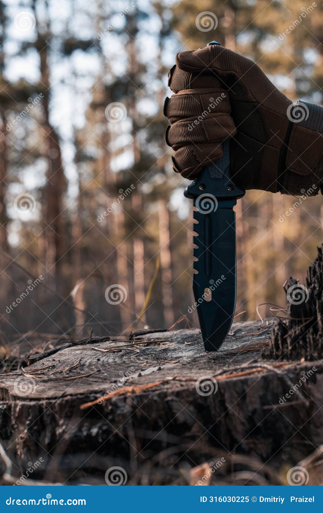 Hunting Knife in the Hands of a Man in the Forest. Stock Image - Image ...