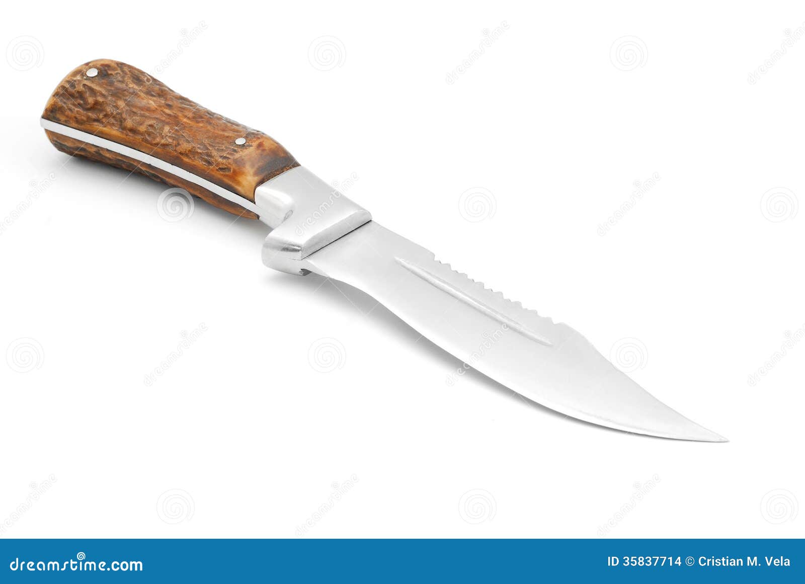 Hunting knife stock photo. Image of scabbard, bone, skiver - 35837714
