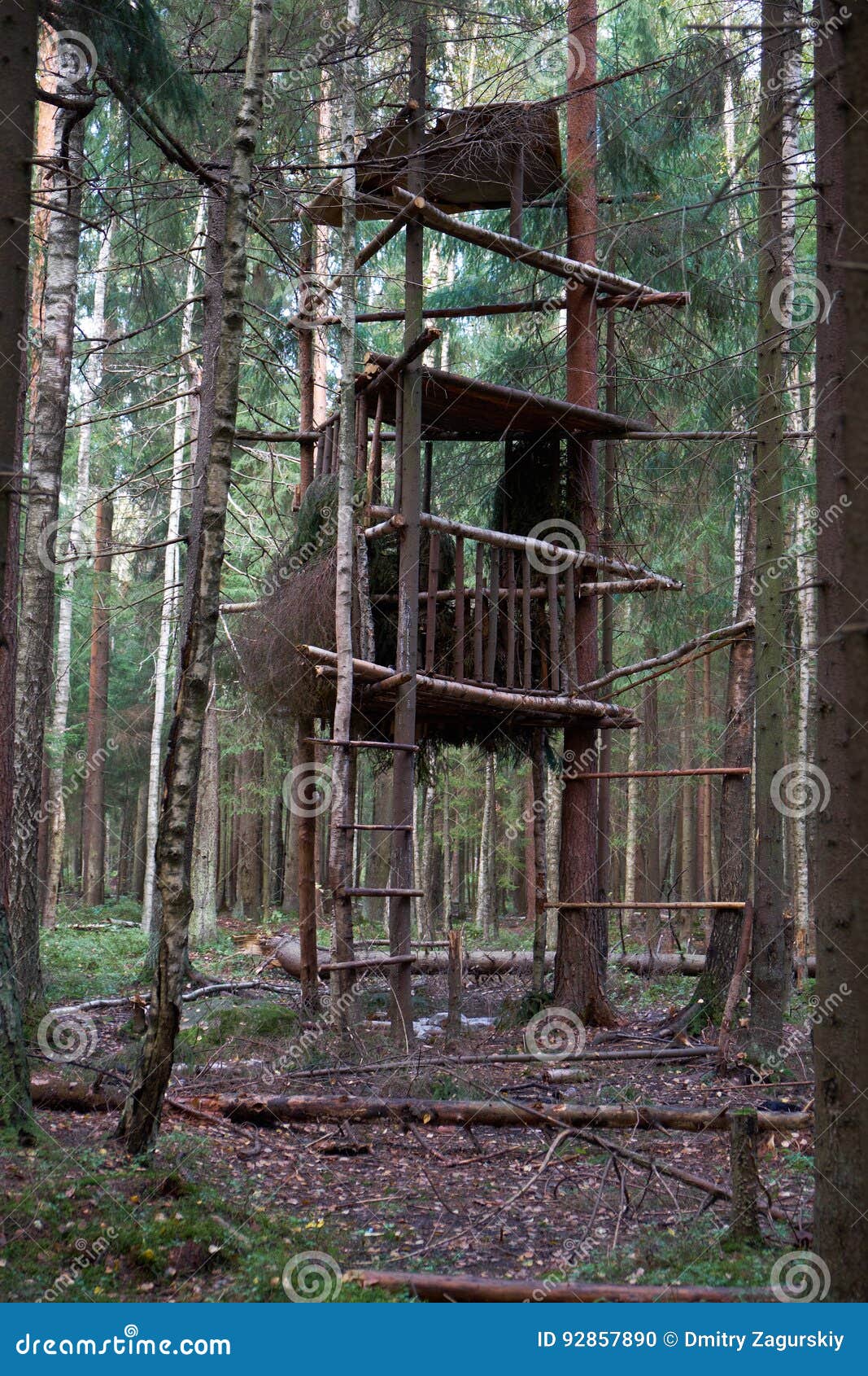Hunting Lodge in a Forest on a Tree. Stock Photo - Image of wild ...