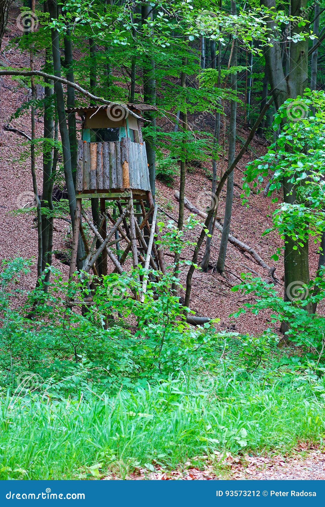 A hunting lodge stock photo. Image of summer, tower, animal - 93573212