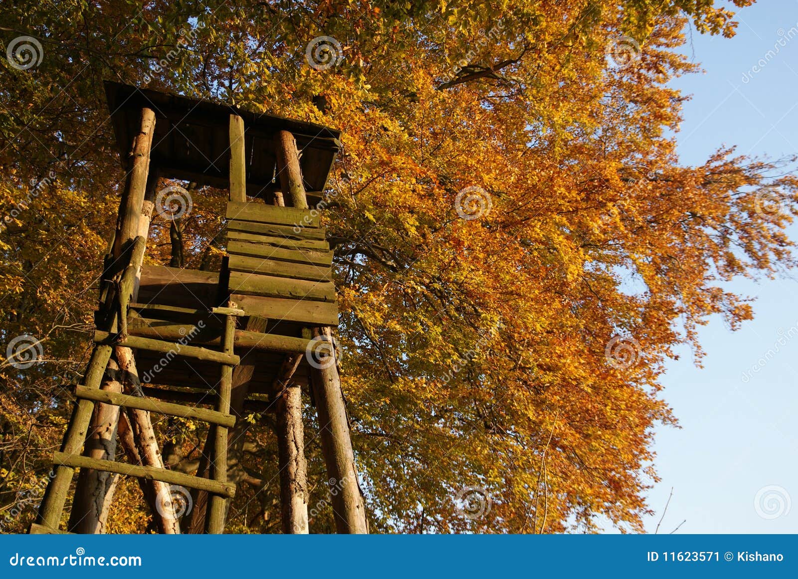 Hunting lookout stock image. Image of nature, watching - 11623571