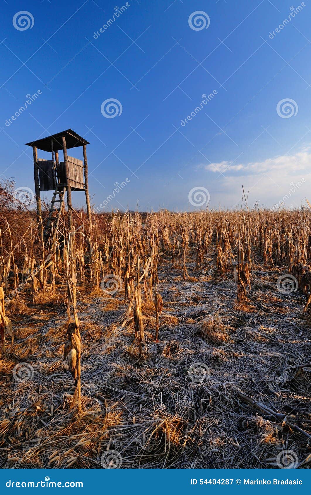 Hunting lookout tower stock image. Image of seasonal - 54404287