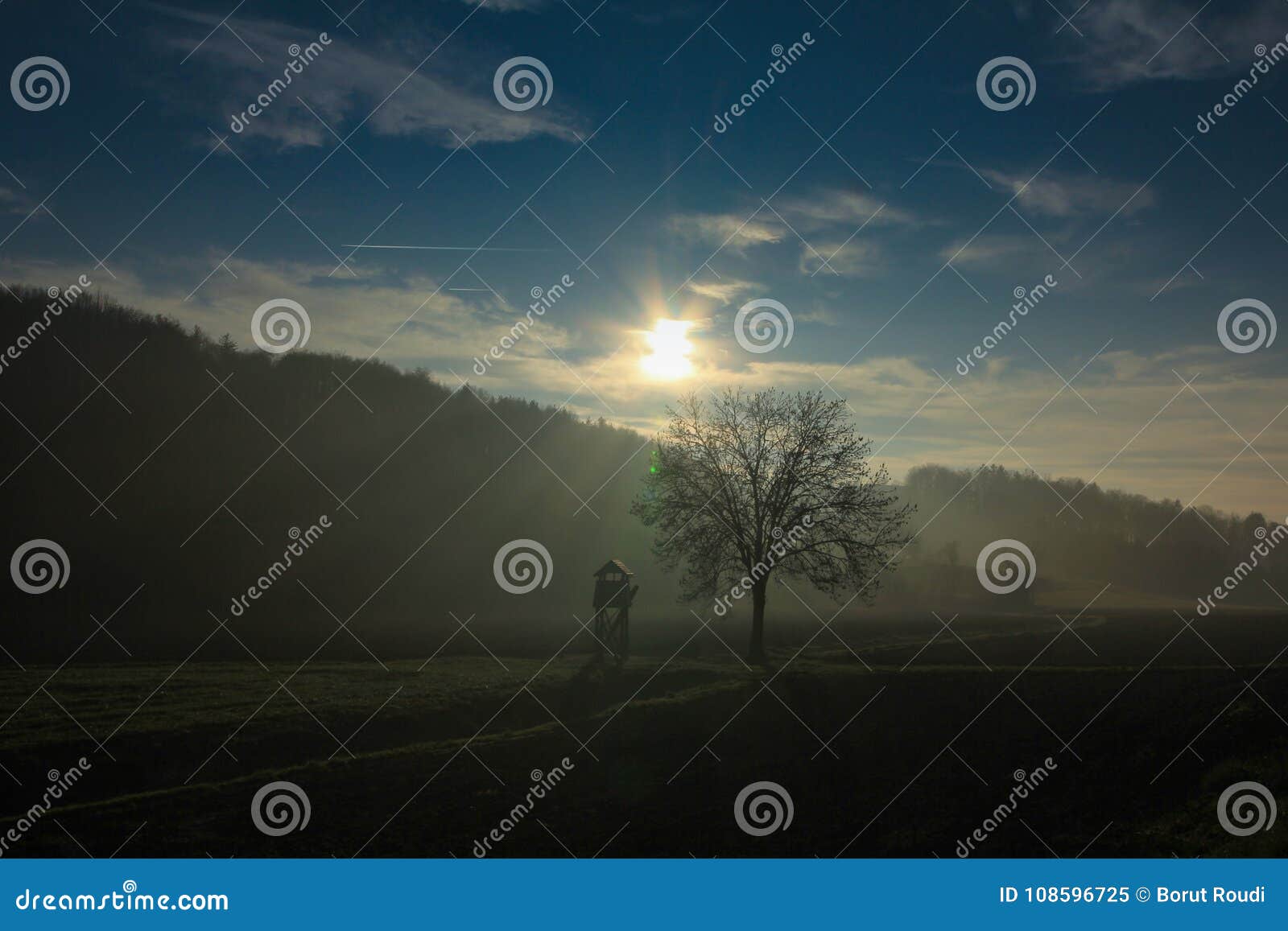 Hunting Observatory on a Sunny Day Stock Image - Image of plant ...