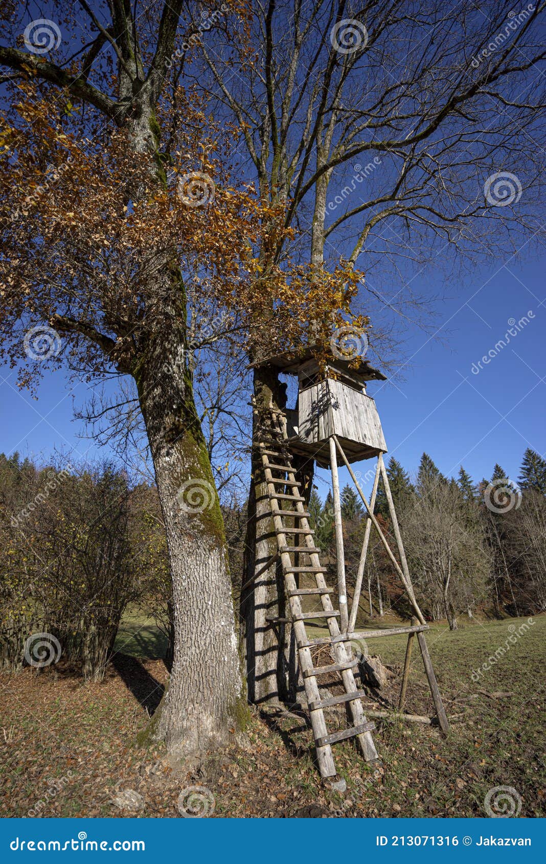 Hunting Observatory Stock Photo | CartoonDealer.com #213071316