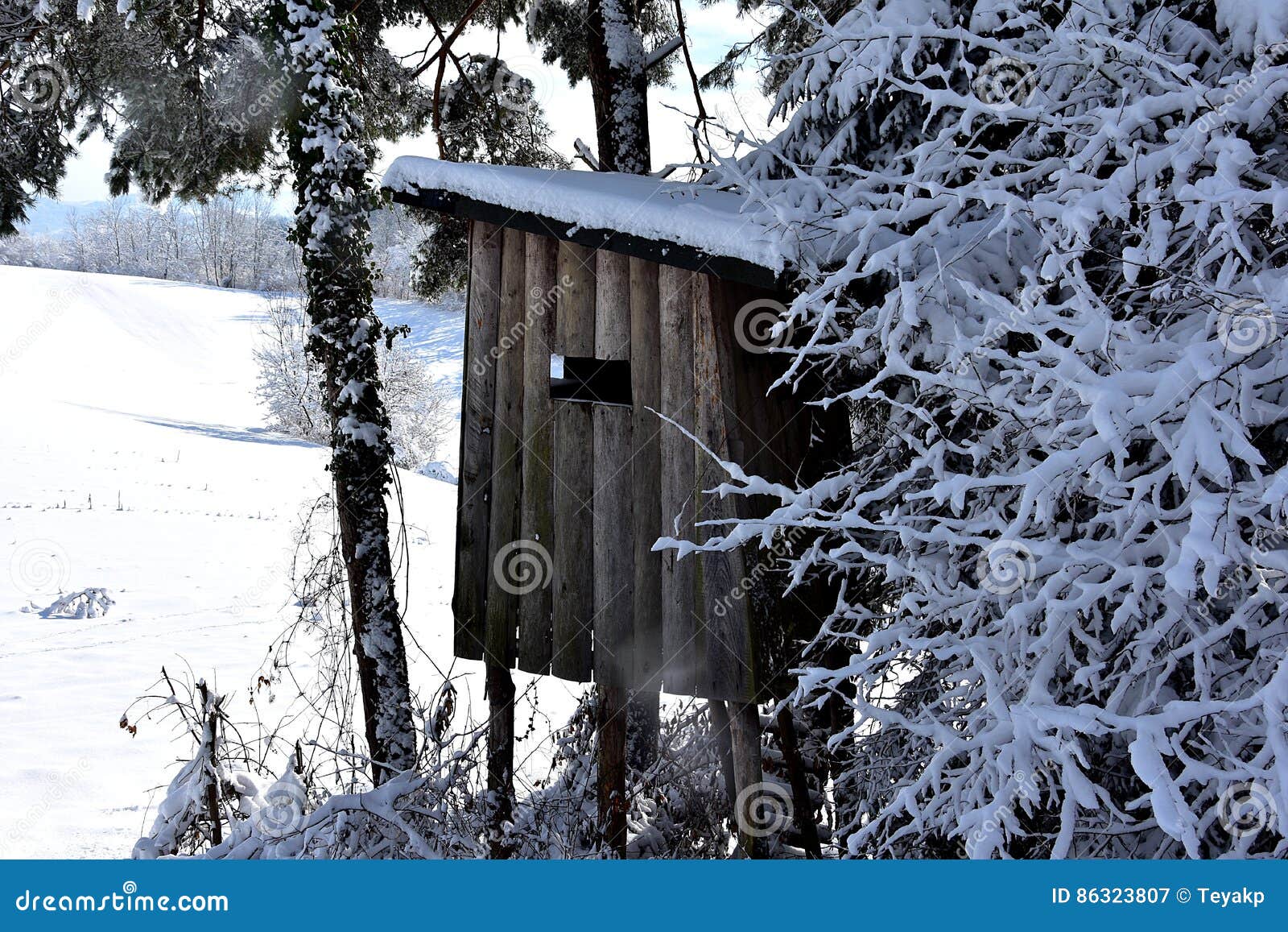 Hunting Observatory Stock Photo | CartoonDealer.com #213071316