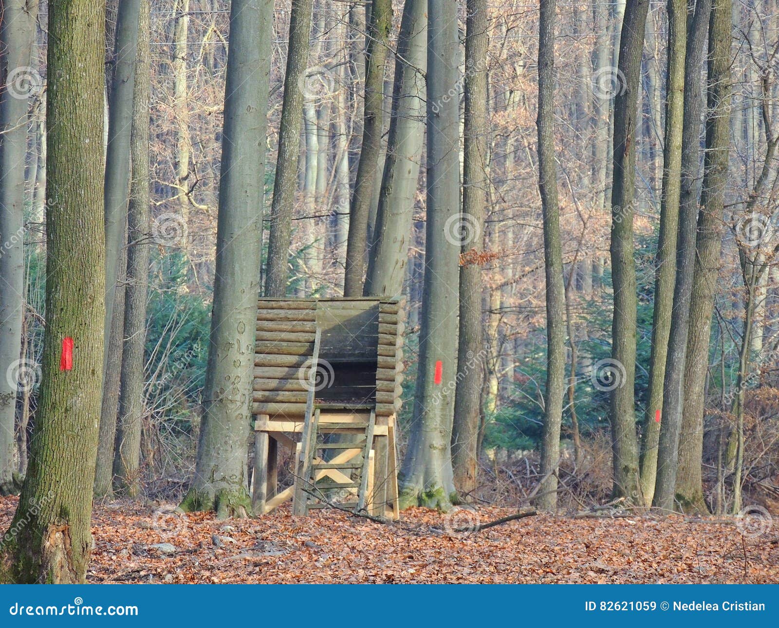 Hunting observatory stock image. Image of observatory - 82621059