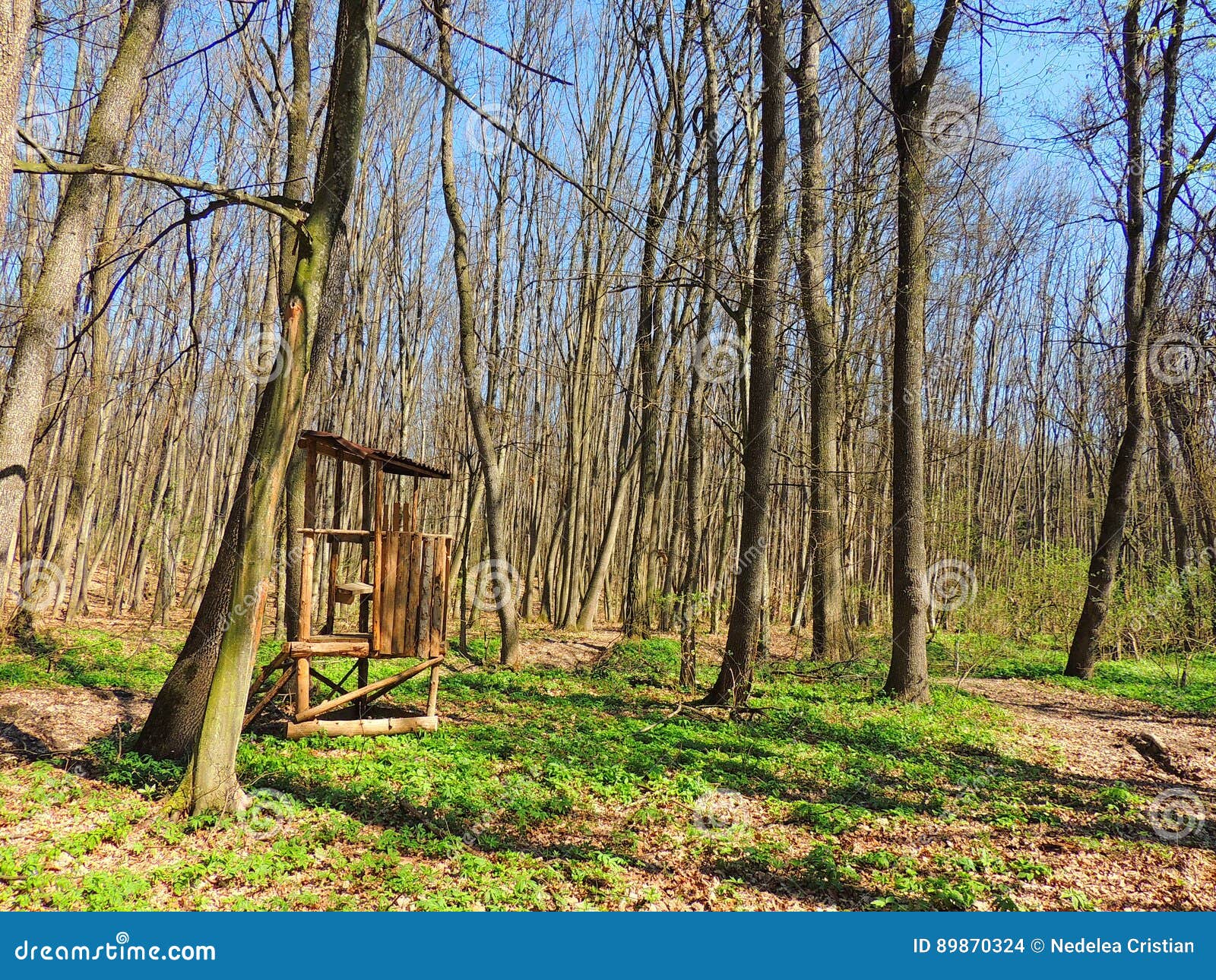Hunting observatory stock photo. Image of hunting, woodden - 89870324