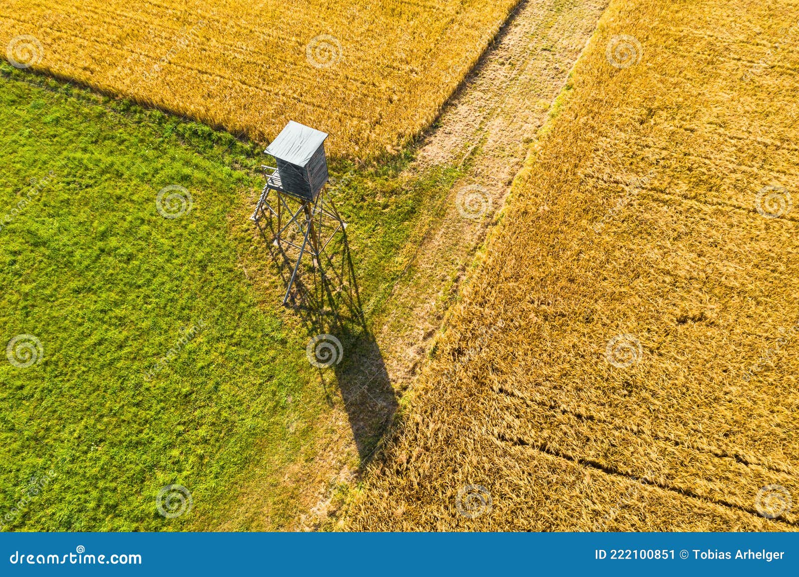 Hunting perch from above stock image. Image of grass - 222100851