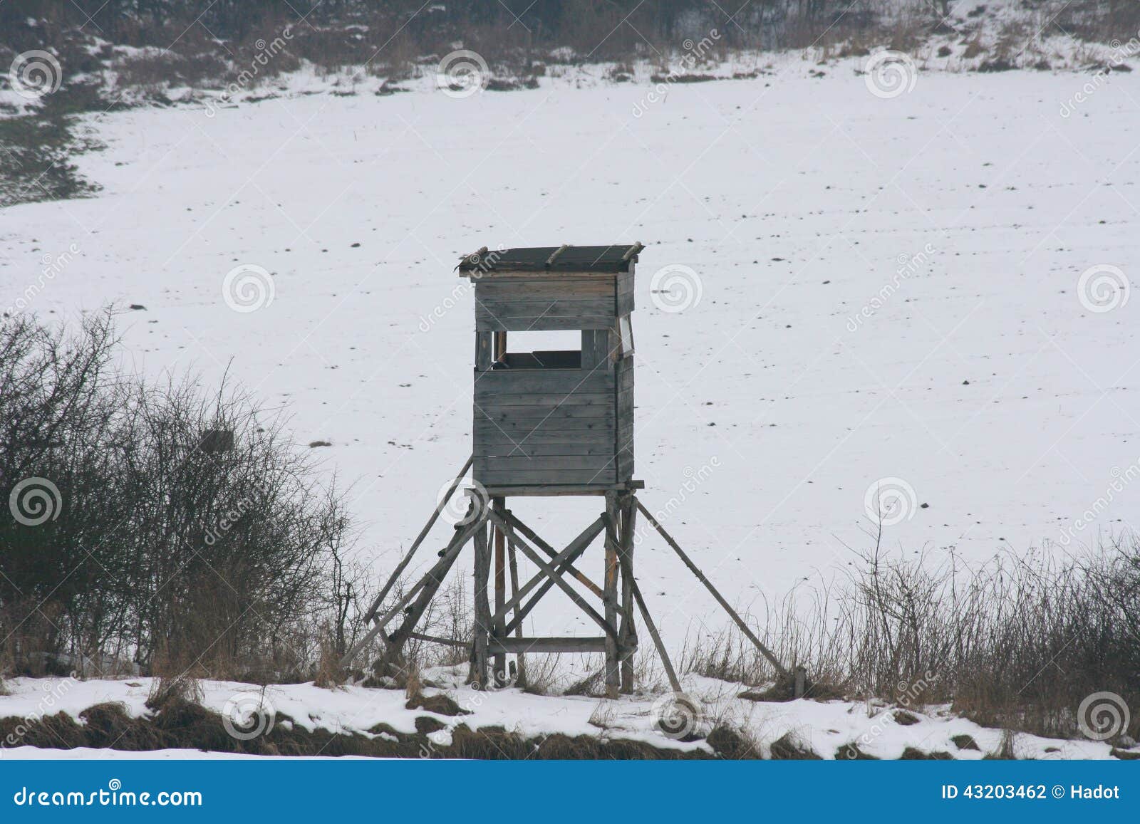 Hunting perch stock photo. Image of cold, season, winter - 43203462