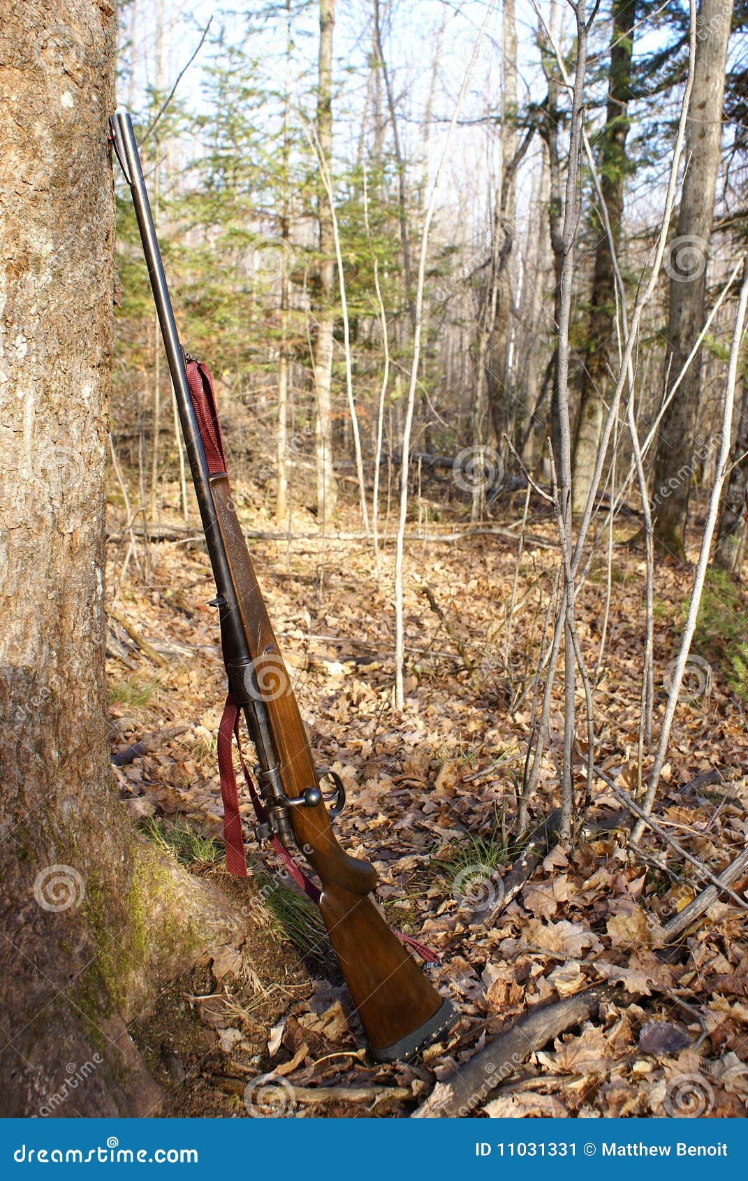 Hunting Rifle stock image. Image of violence, metal, autumn - 11031331