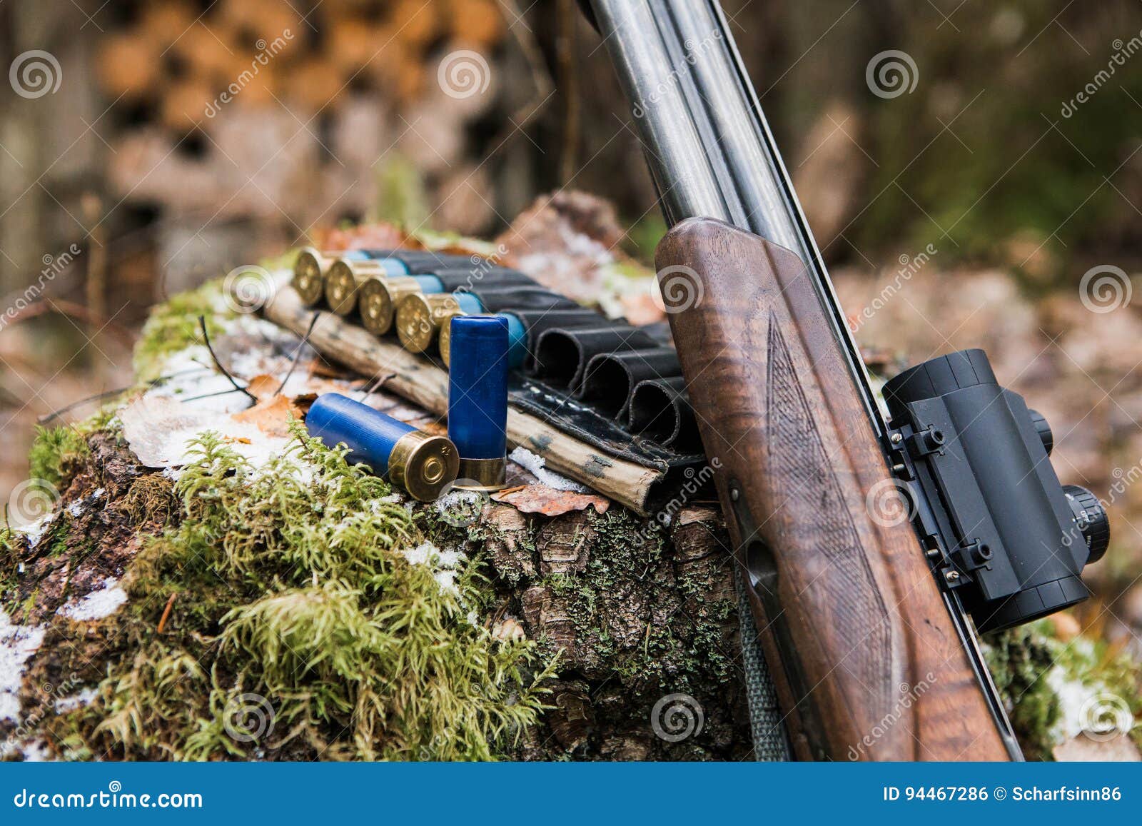 Hunting Rifle with Ammunition Stock Photo - Image of ammunition ...