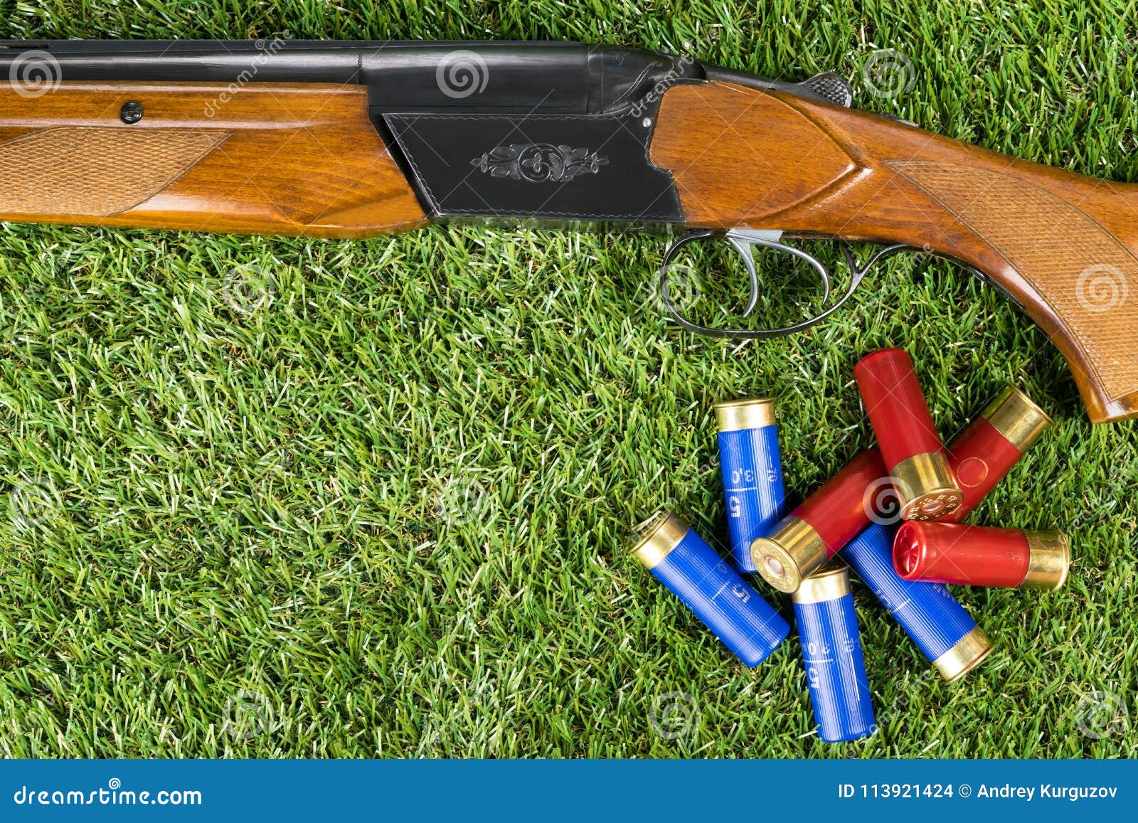 Hunting Rifle and Cartridges Concept on the Grass Stock Photo - Image ...