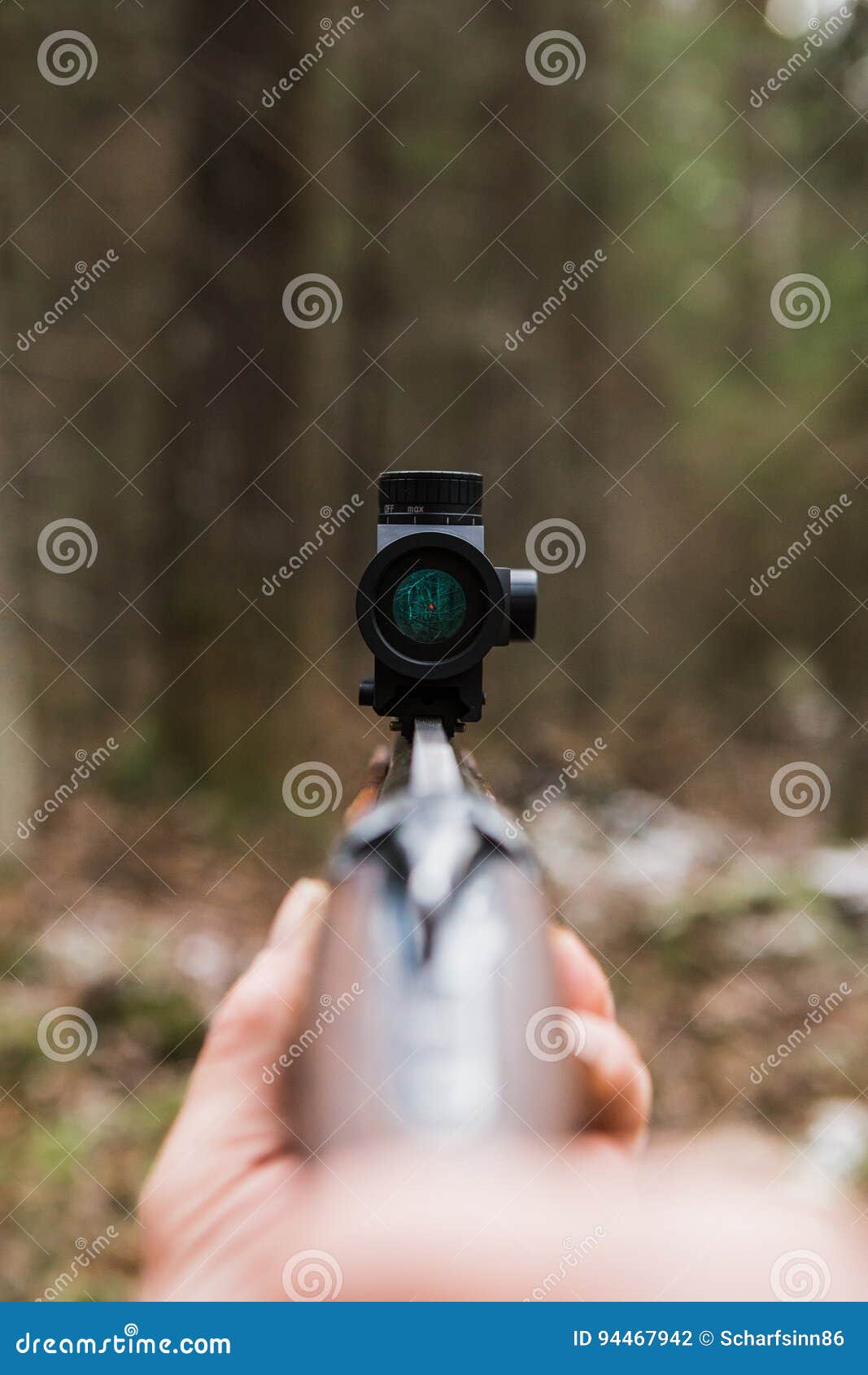 Hunting Rifle with Collimator Sight Stock Photo - Image of hunt, optic ...