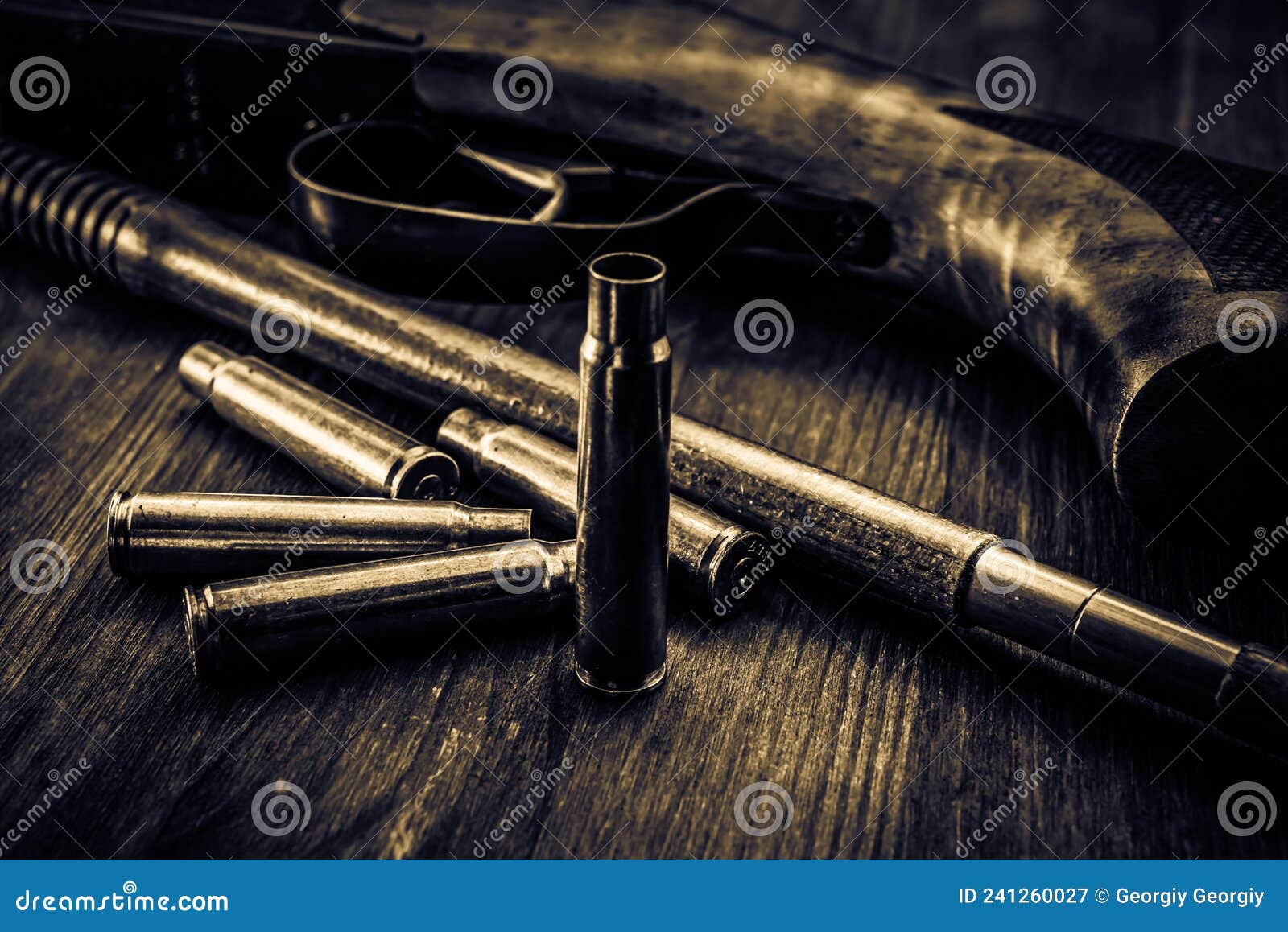 Hunting Rifle with Empty Shells and a Ramrod for Cleaning Weapons Lying ...