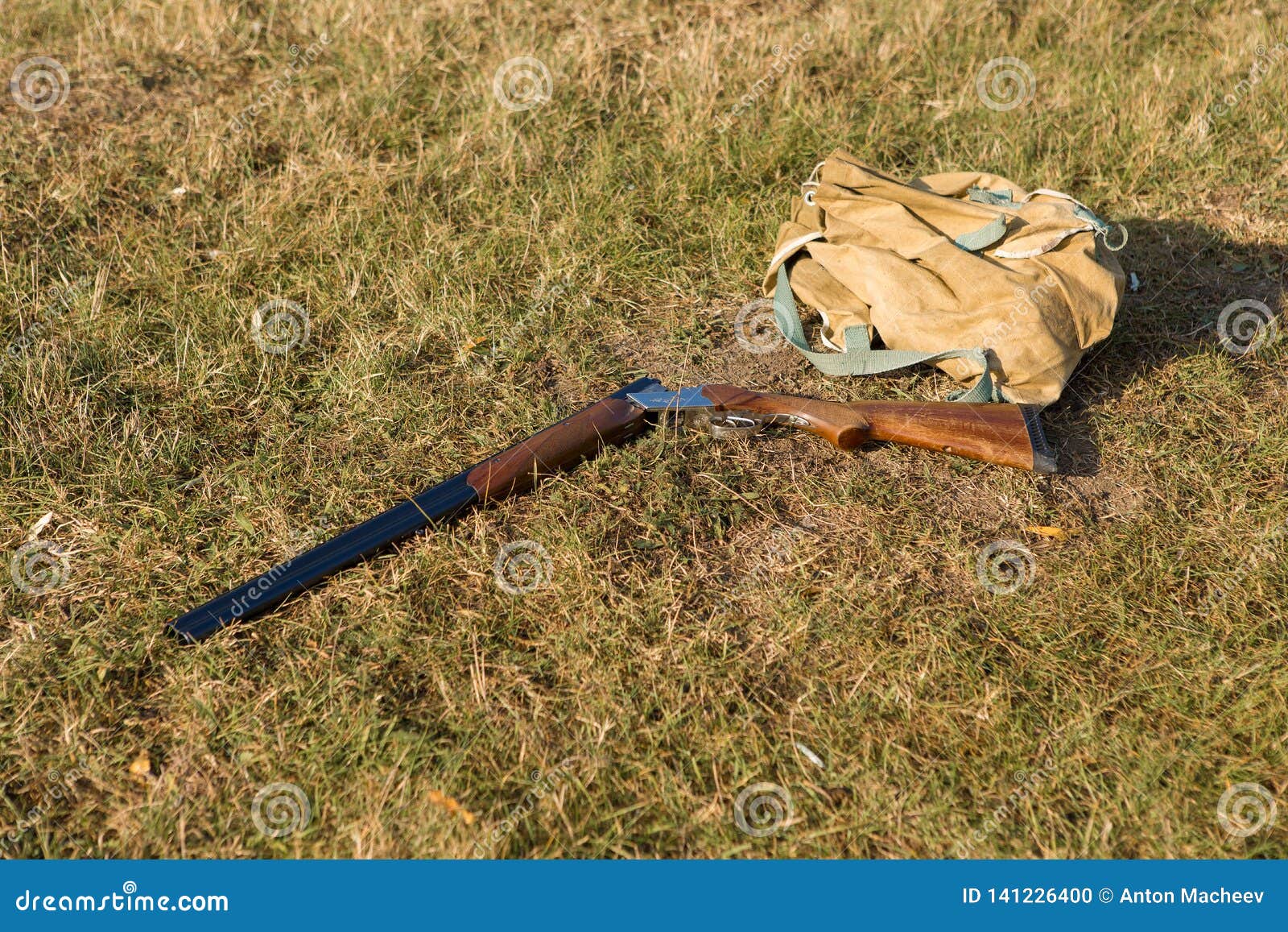 Hunting Rifle on Grass. the Beginning of the Hunting Season is Open ...
