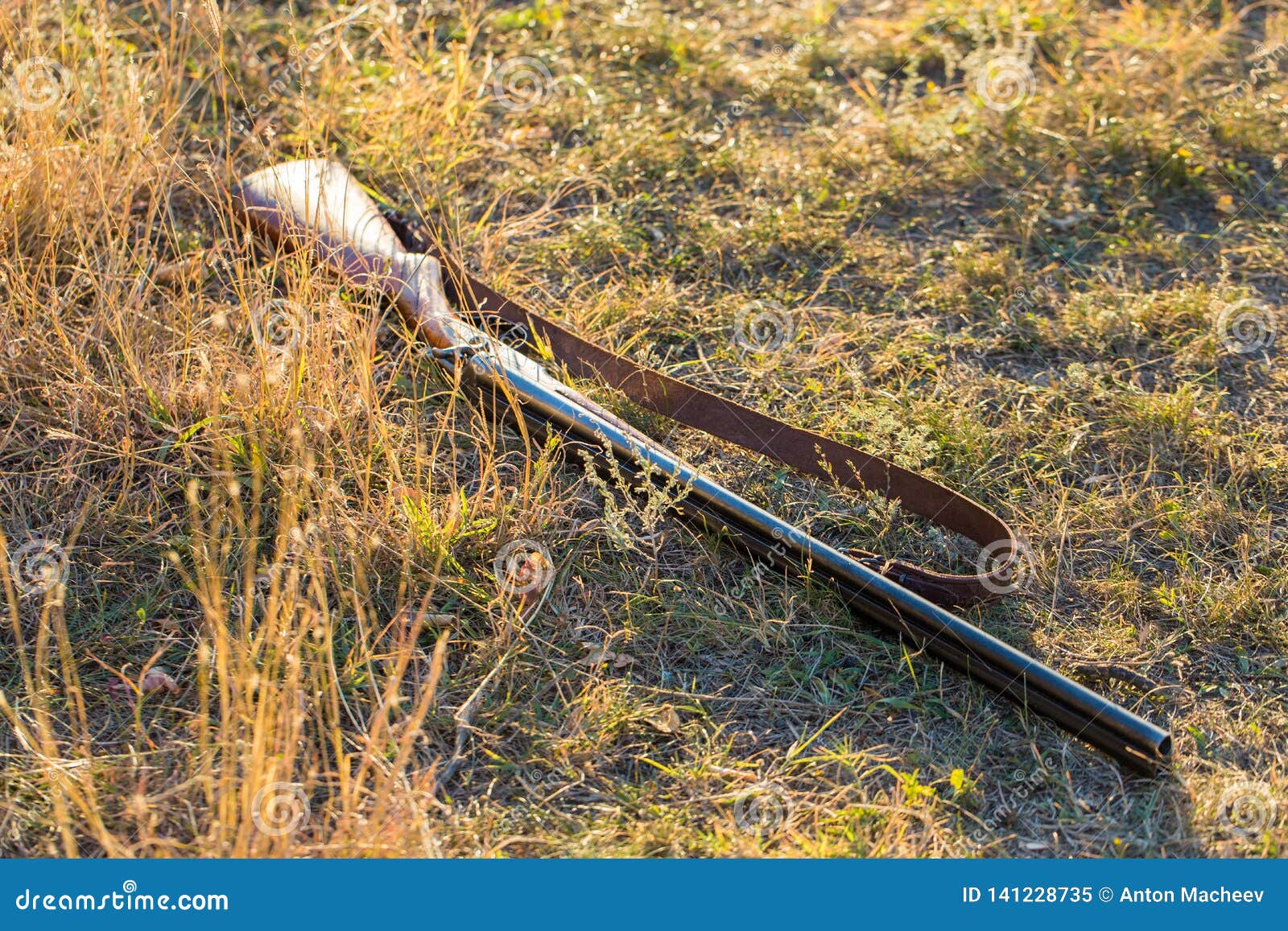 Hunting Rifle on Grass. the Beginning of the Hunting Season is Open ...