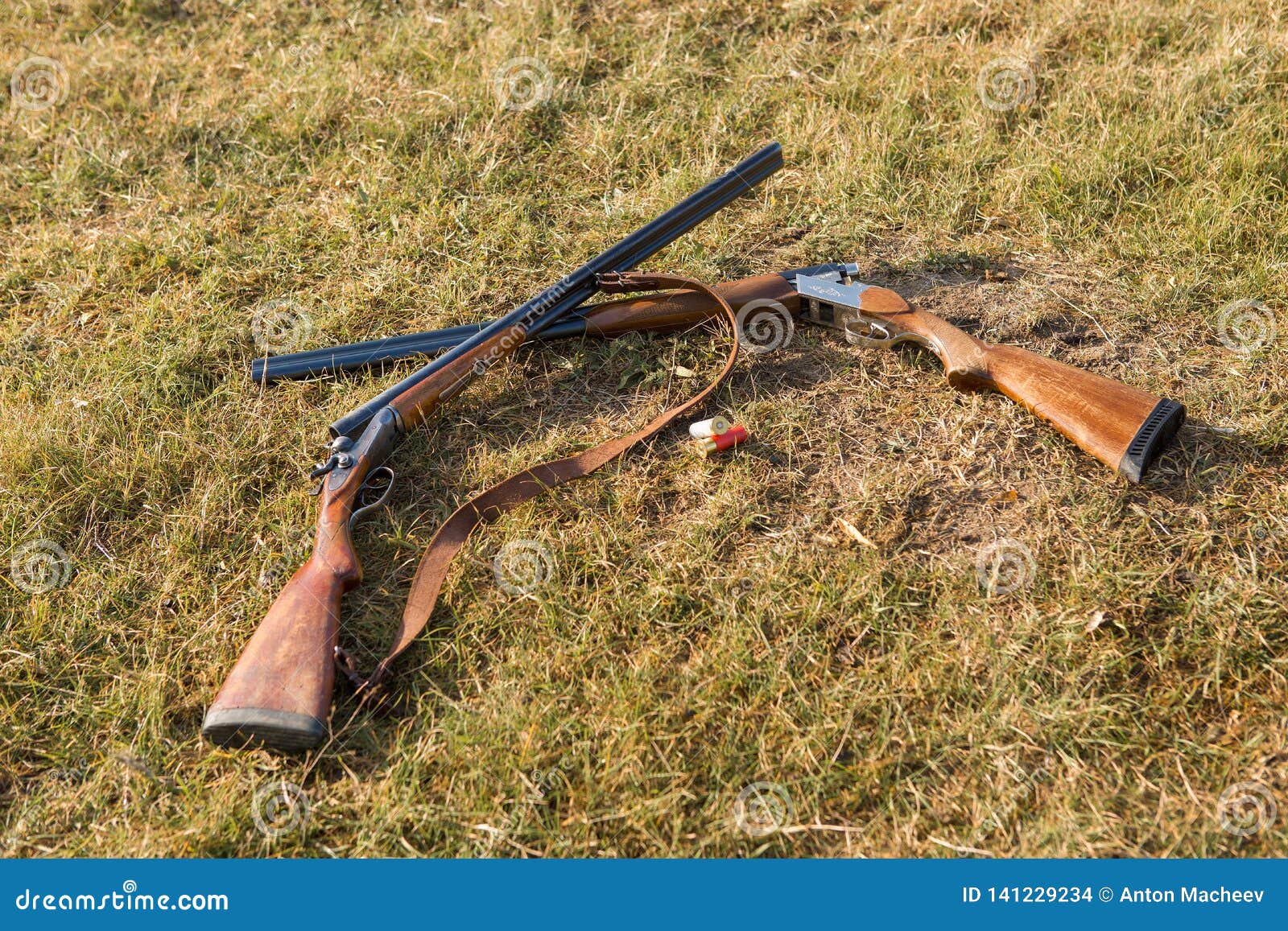Hunting Rifle on Grass. the Beginning of the Hunting Season is Open ...