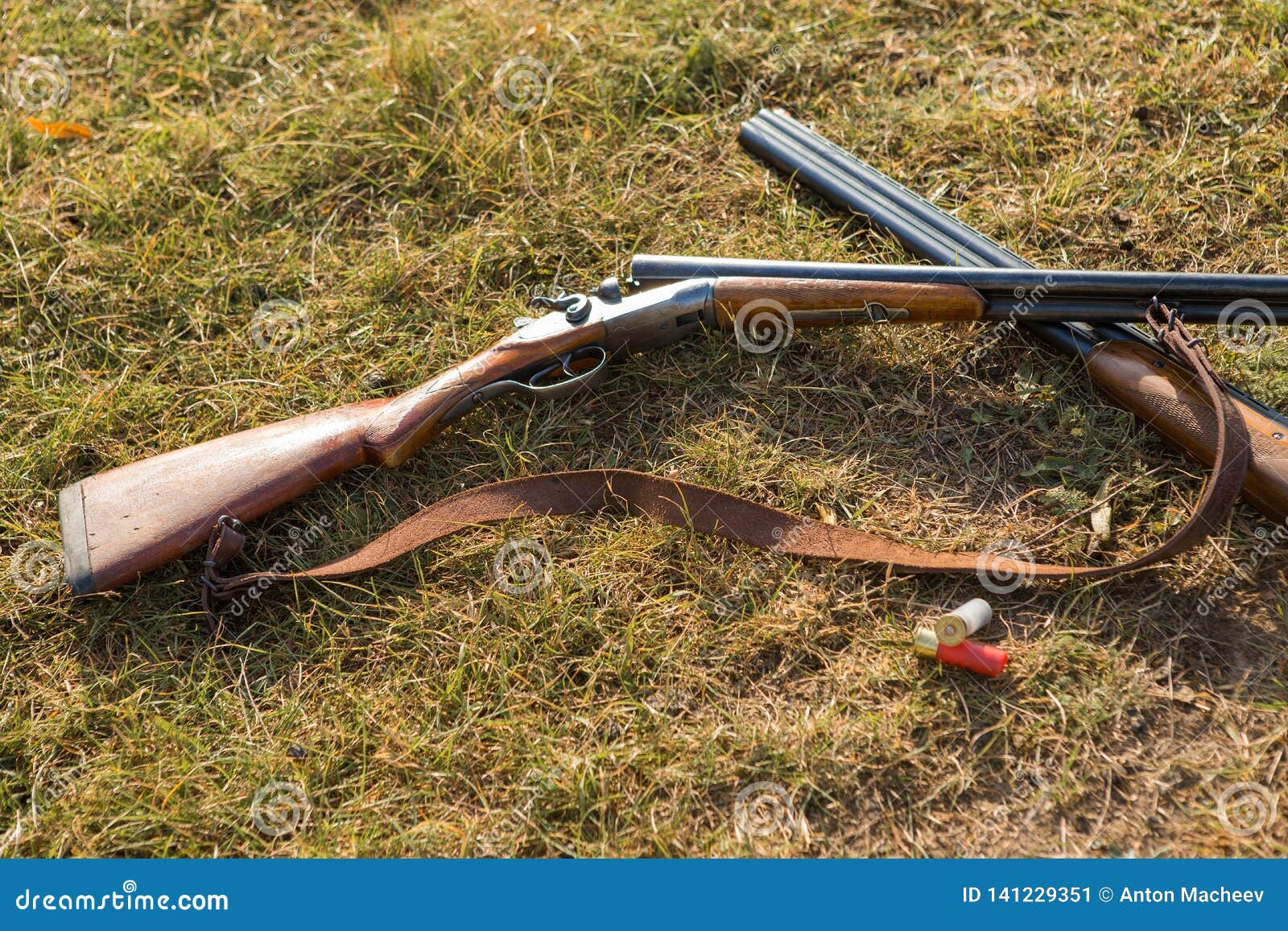 Hunting Rifle on Grass. the Beginning of the Hunting Season is Open ...